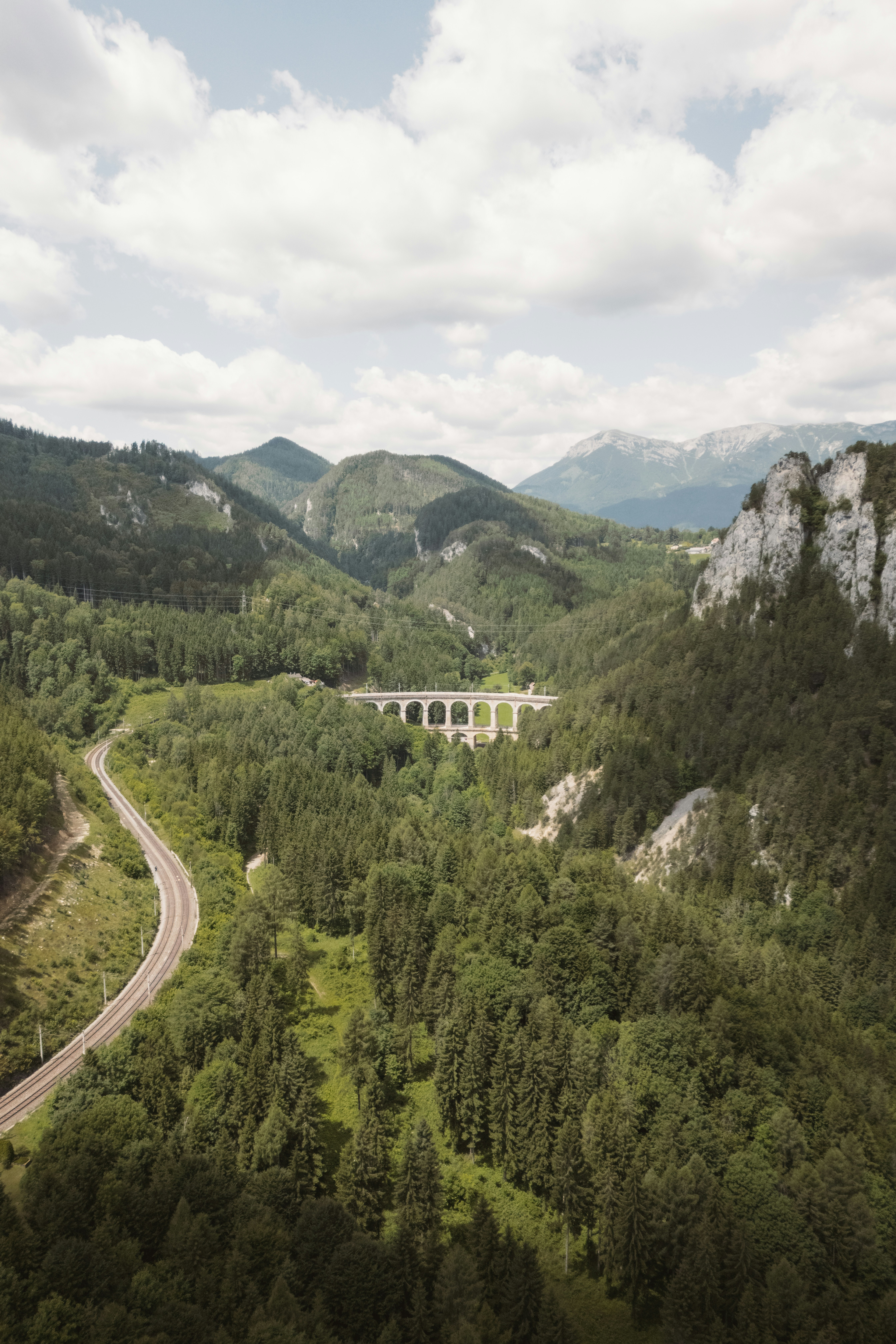 The Serpentine Journey through Verdant Valleys