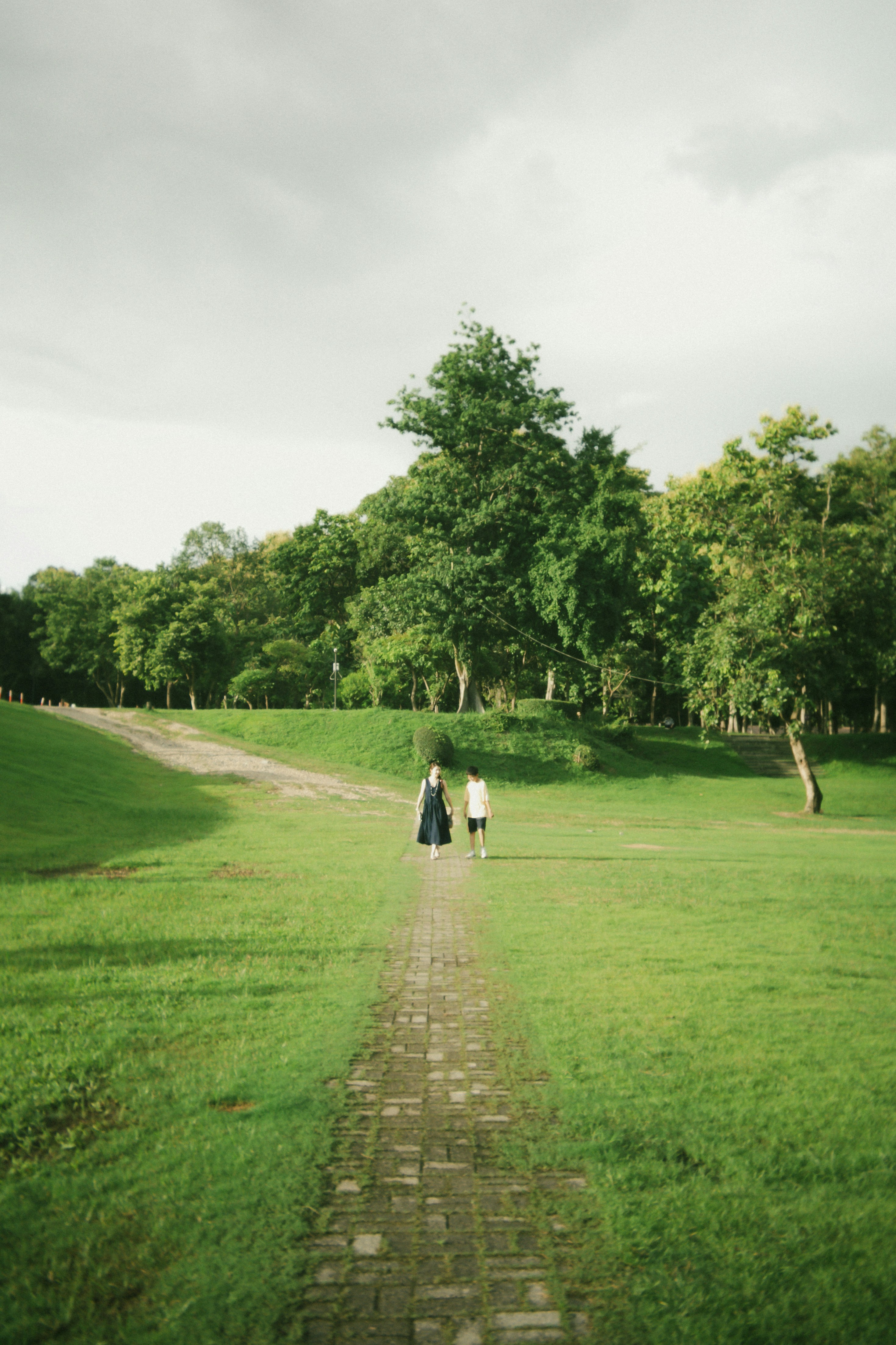 A Serene Stroll Through Nature's Embrace
