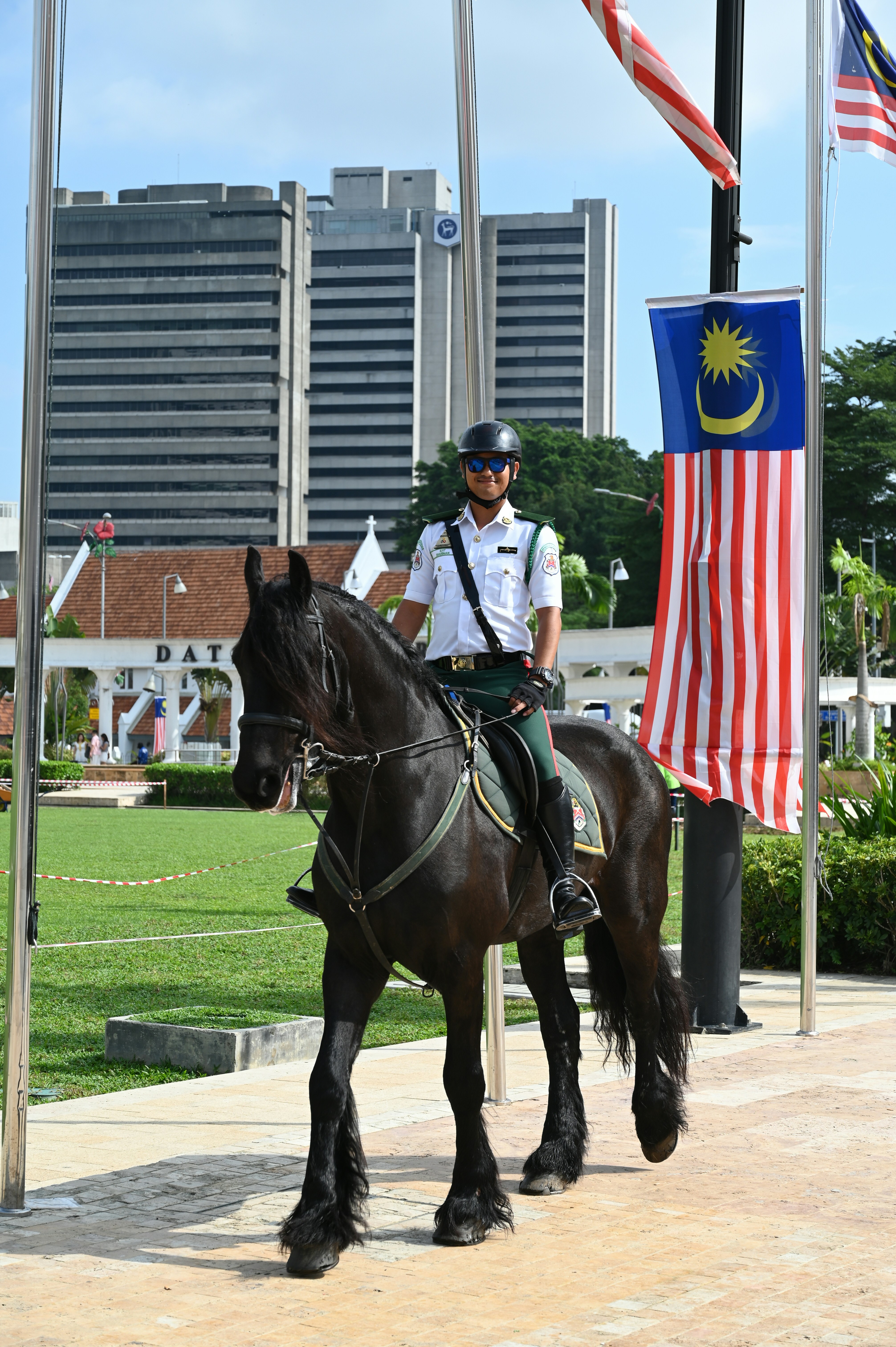 Guardians of Tradition: The Mounted Sentinel