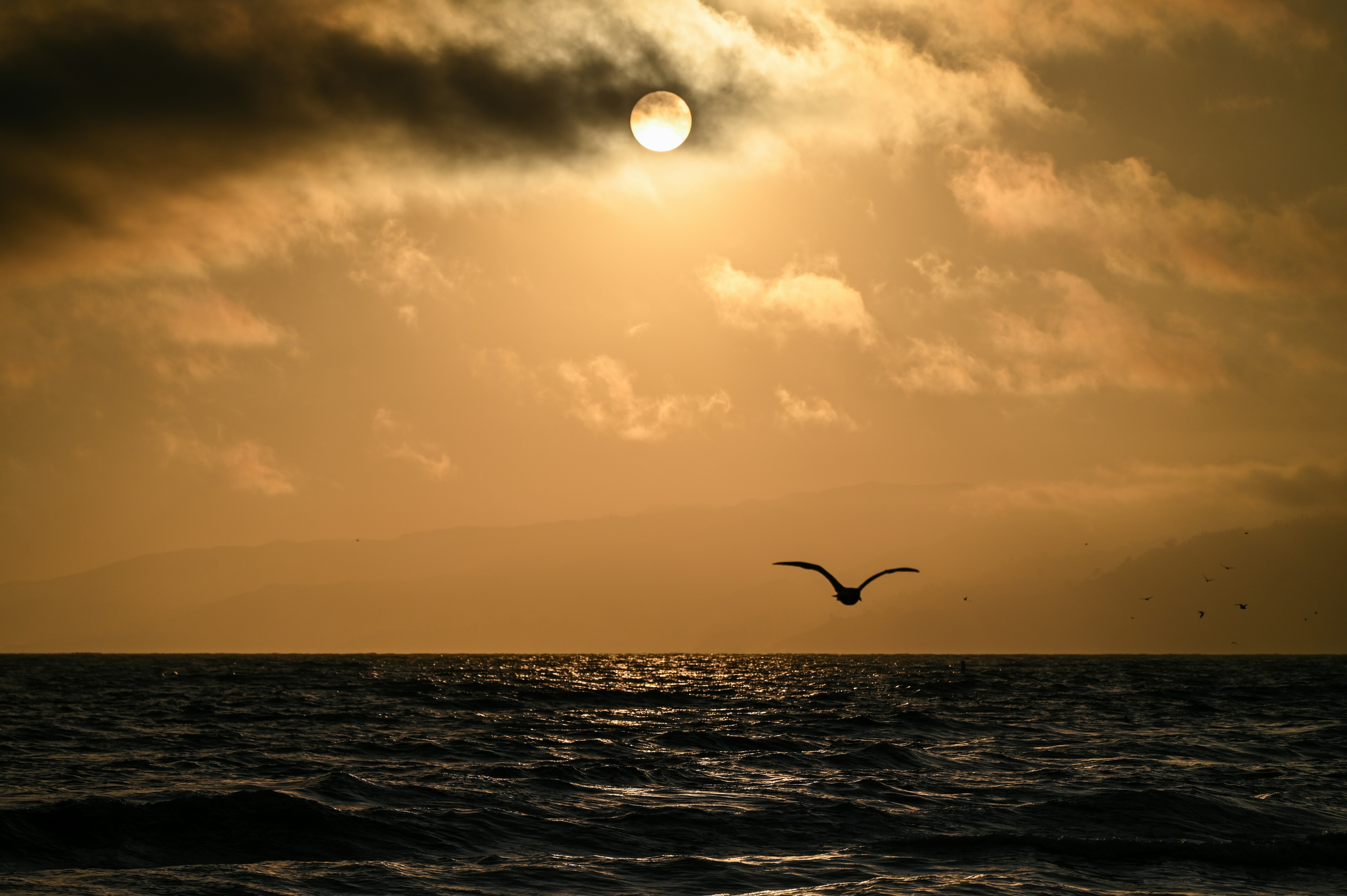 A solitary seagull glides over the shimmering ocean as the sun sets behind a veil of clouds, casting a warm glow across the water.