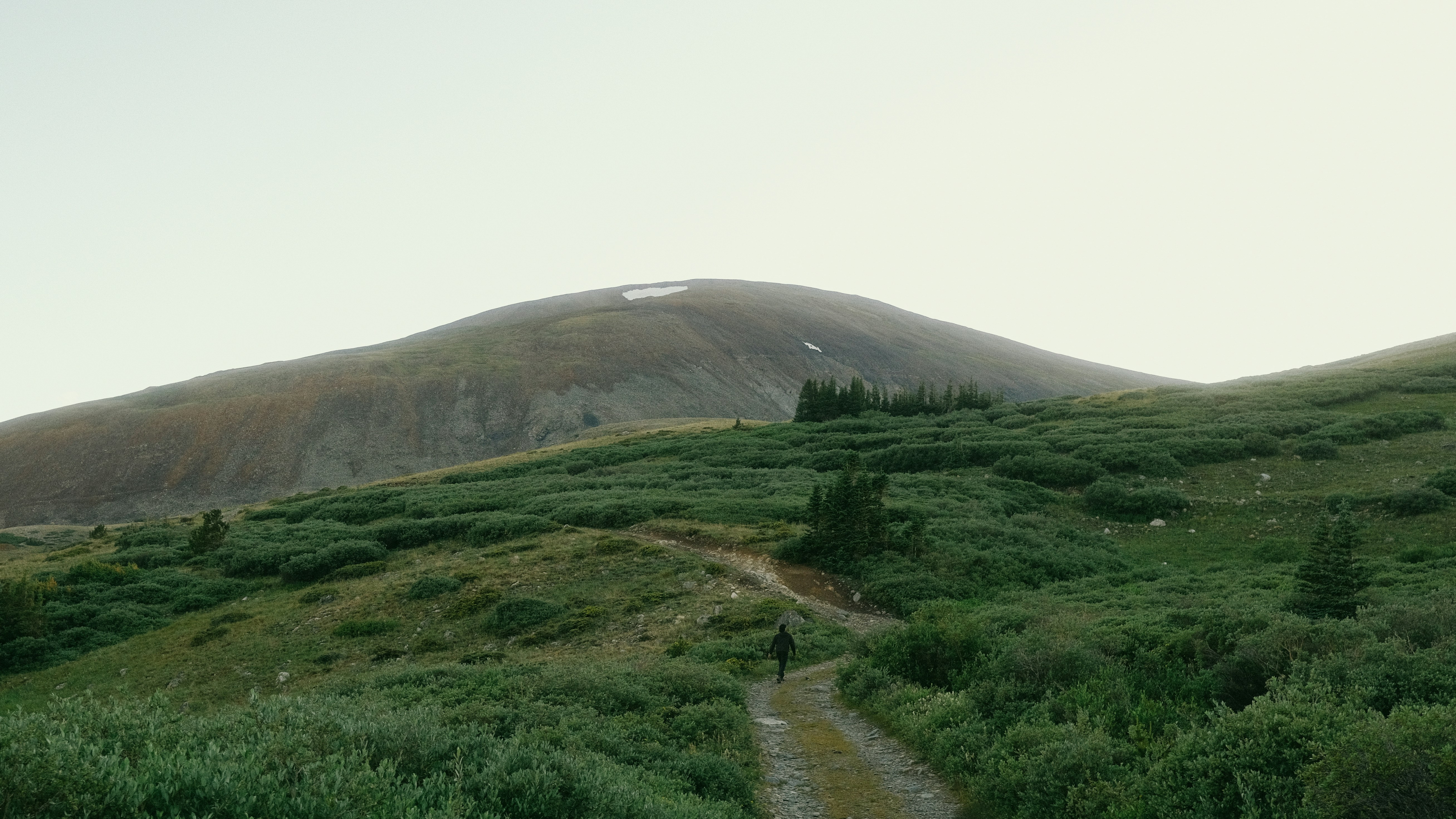 A solitary figure traversing a winding path amidst lush green hills under a pale sky.