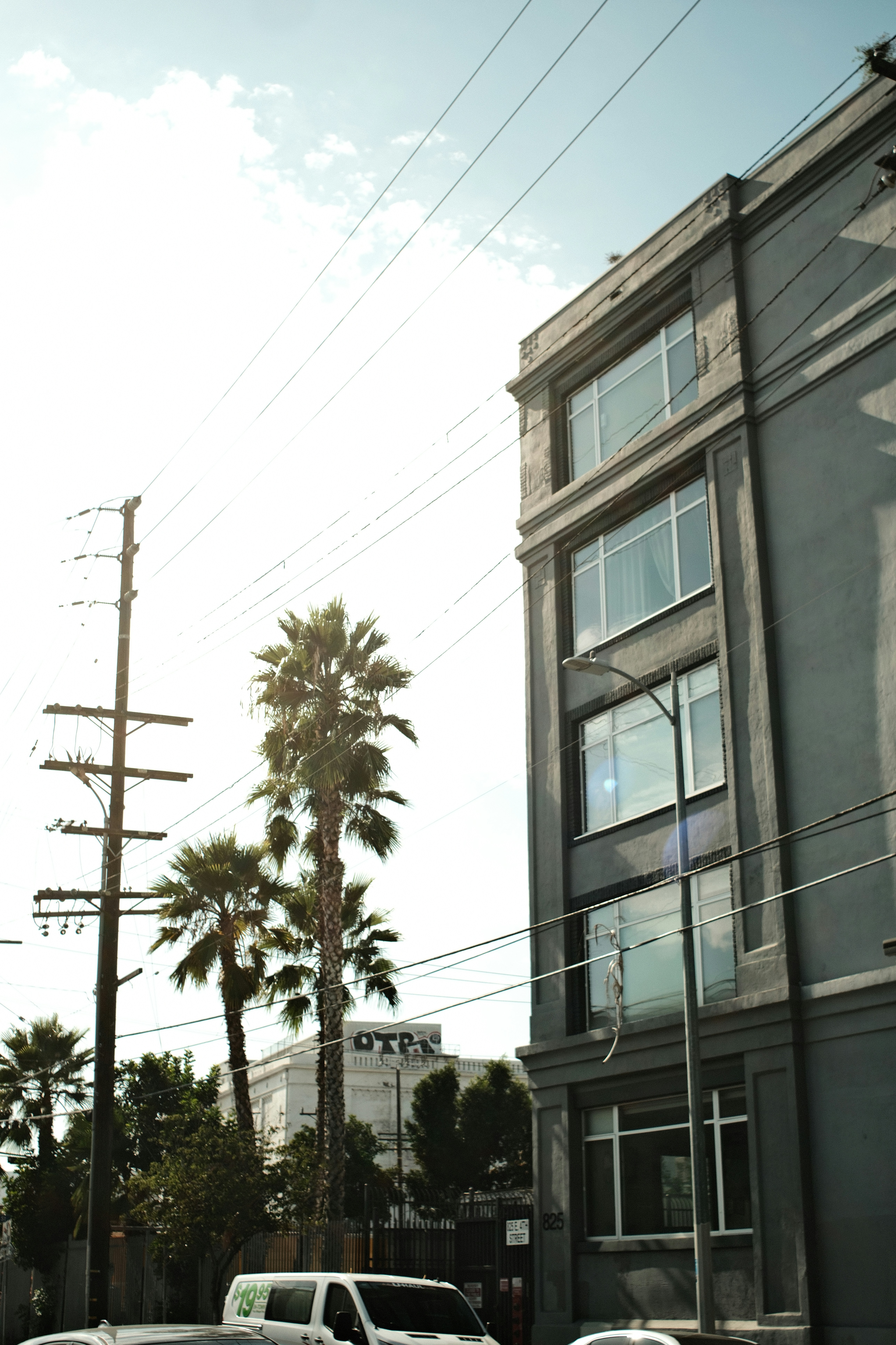 Modern building with palm trees and utility poles