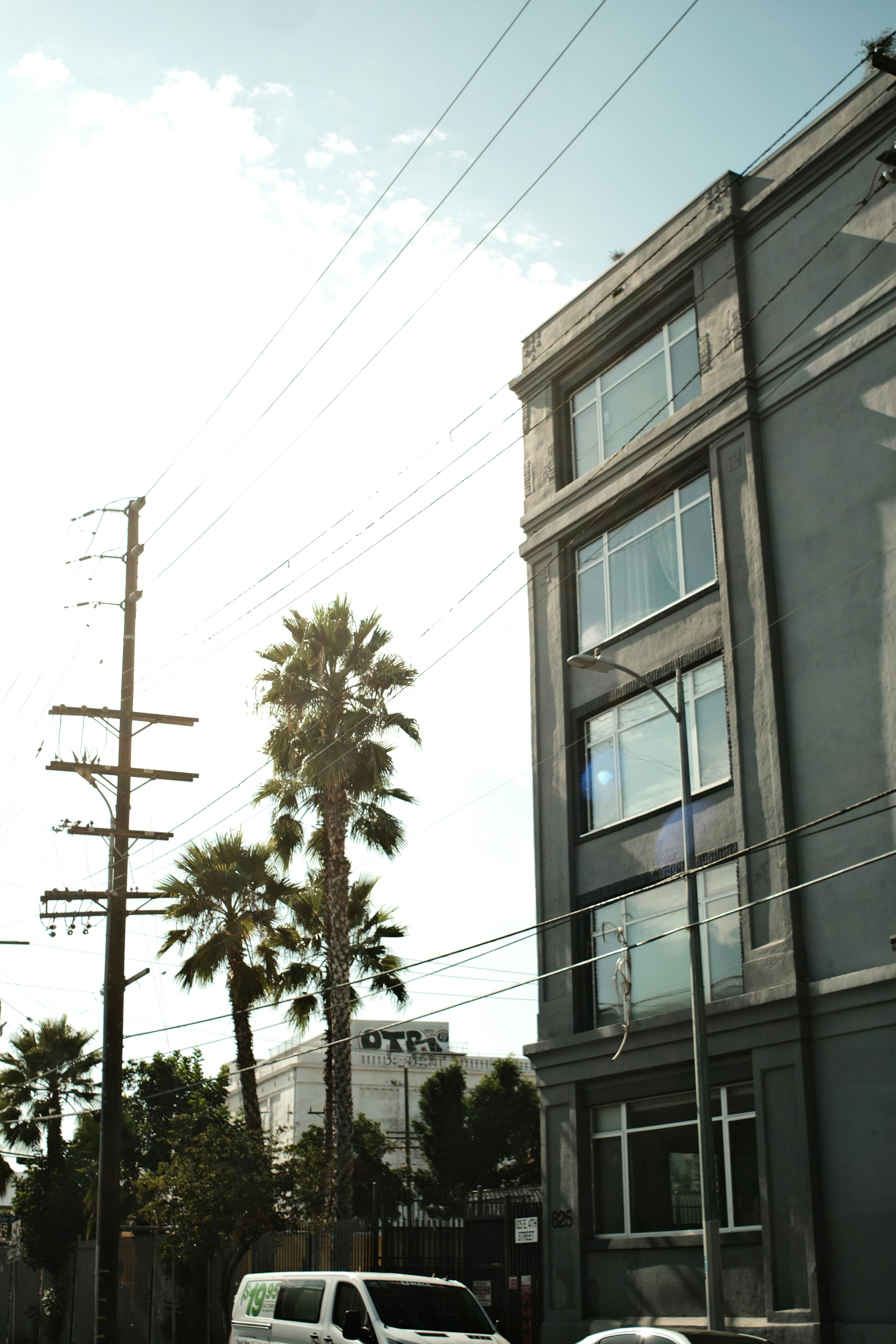Urban Oasis: A Glimpse of City Life
