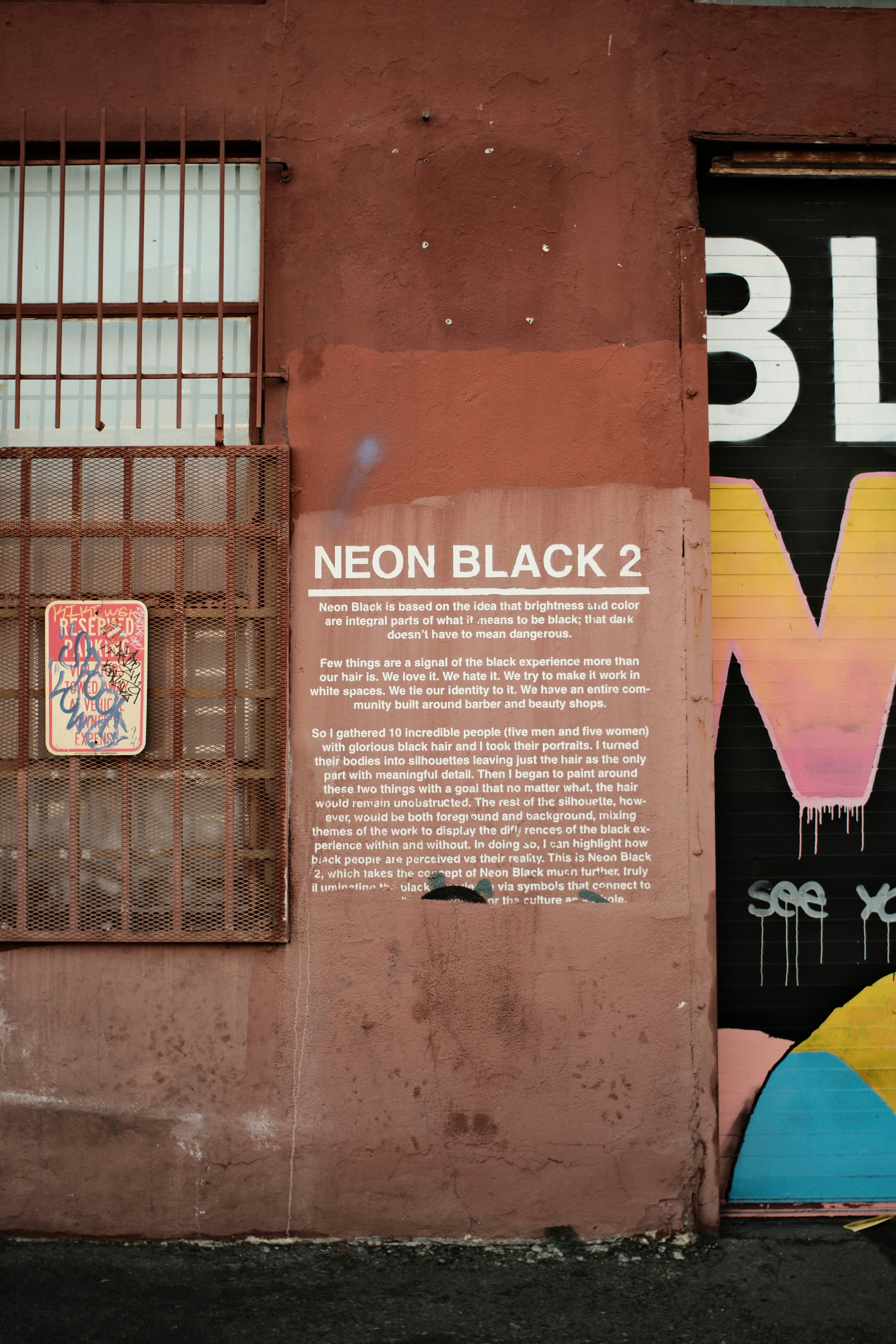 Illuminating Perspectives: The Essence of Neon Black