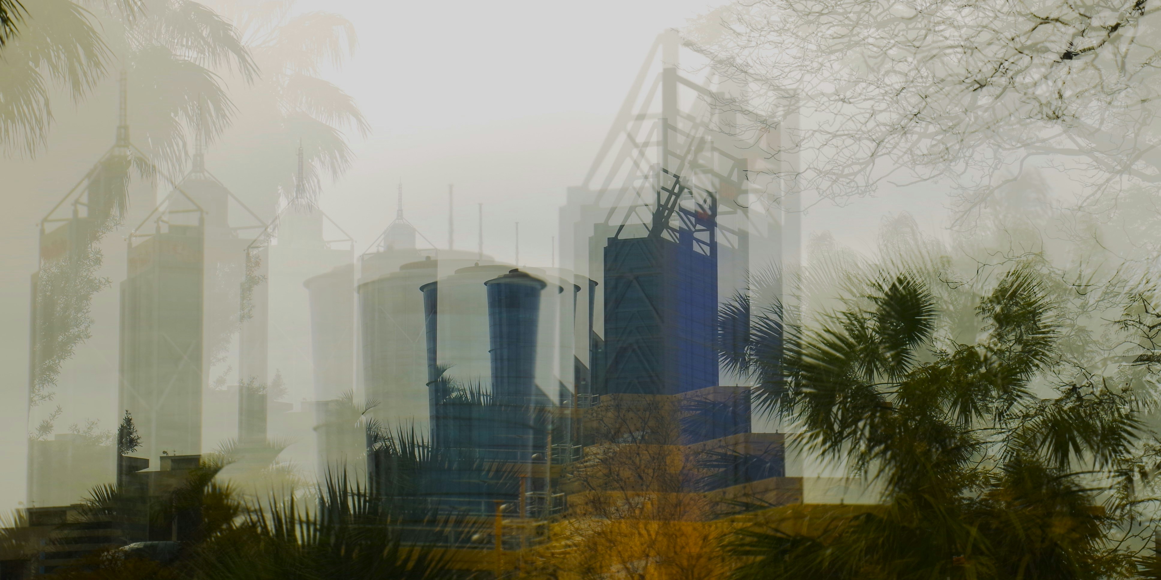 Double Horizon: Palm Fronds Meet a Ghosted City Skyline