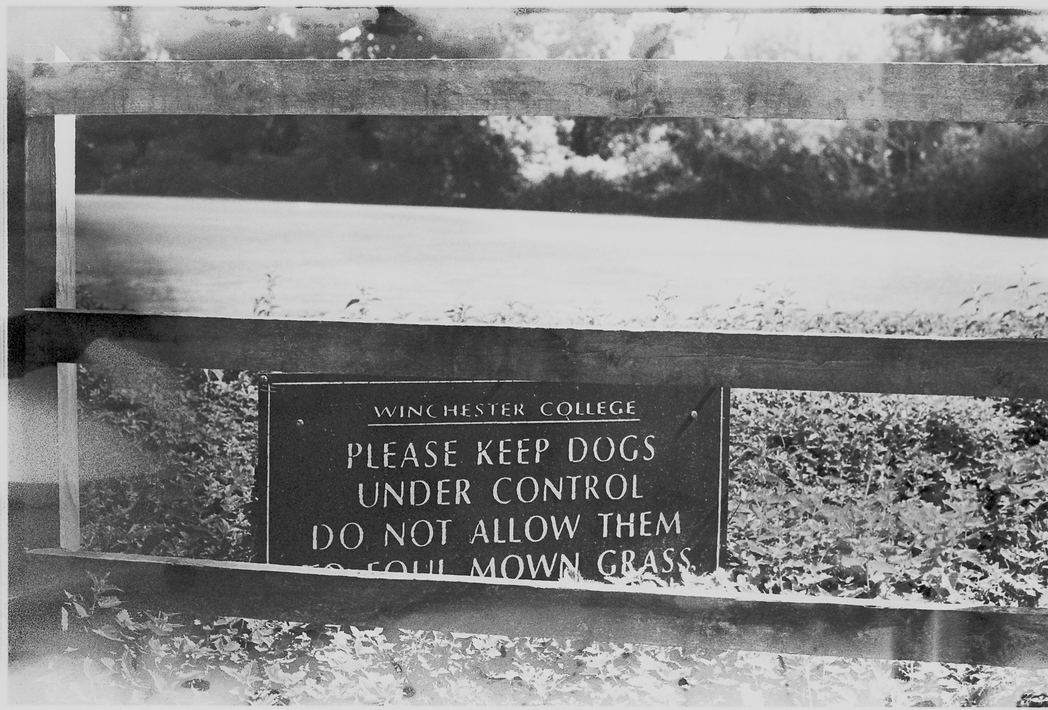 A Gentle Reminder in Nature's Embrace