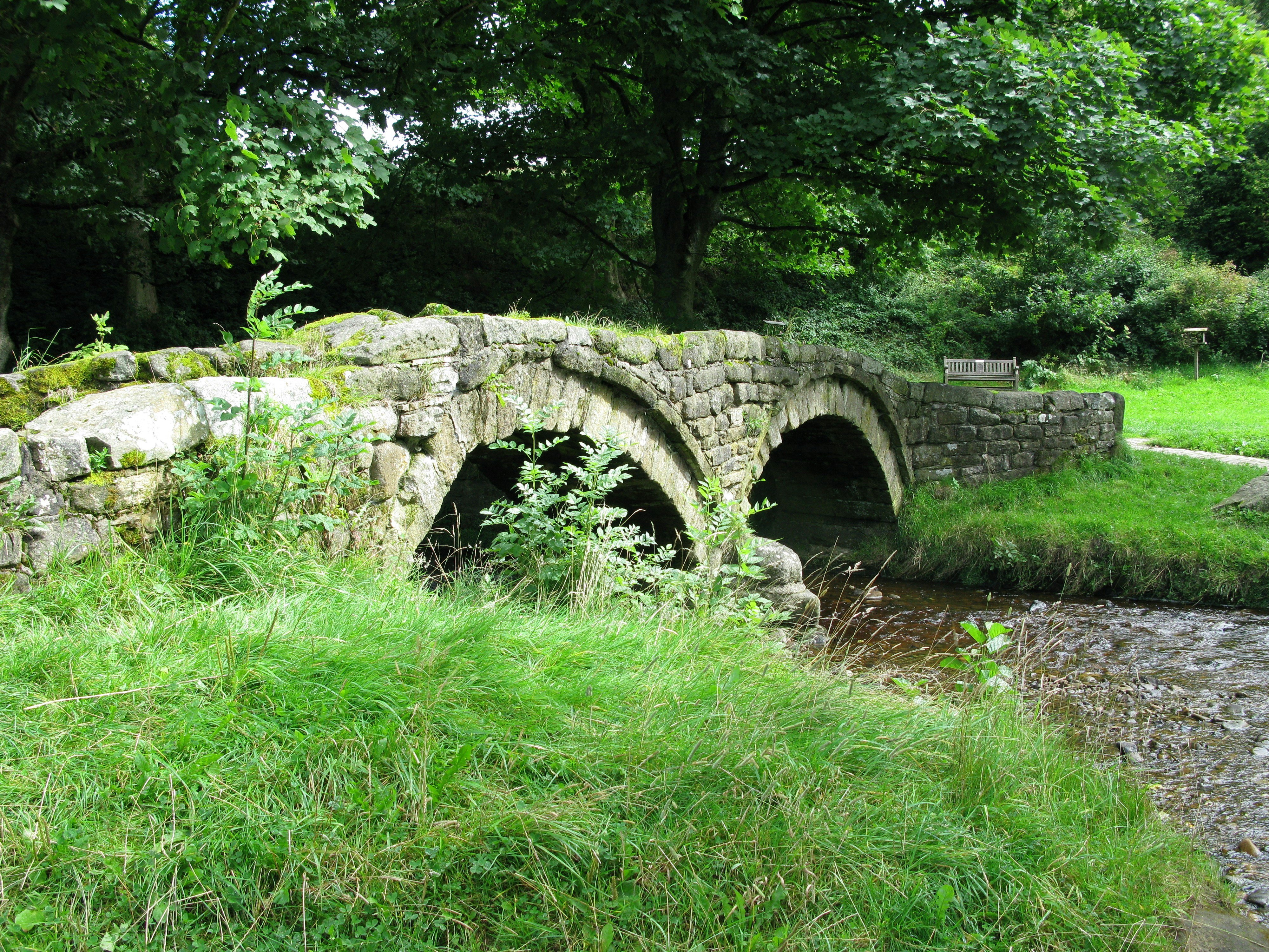 Stone bridge over a small stream in a forest