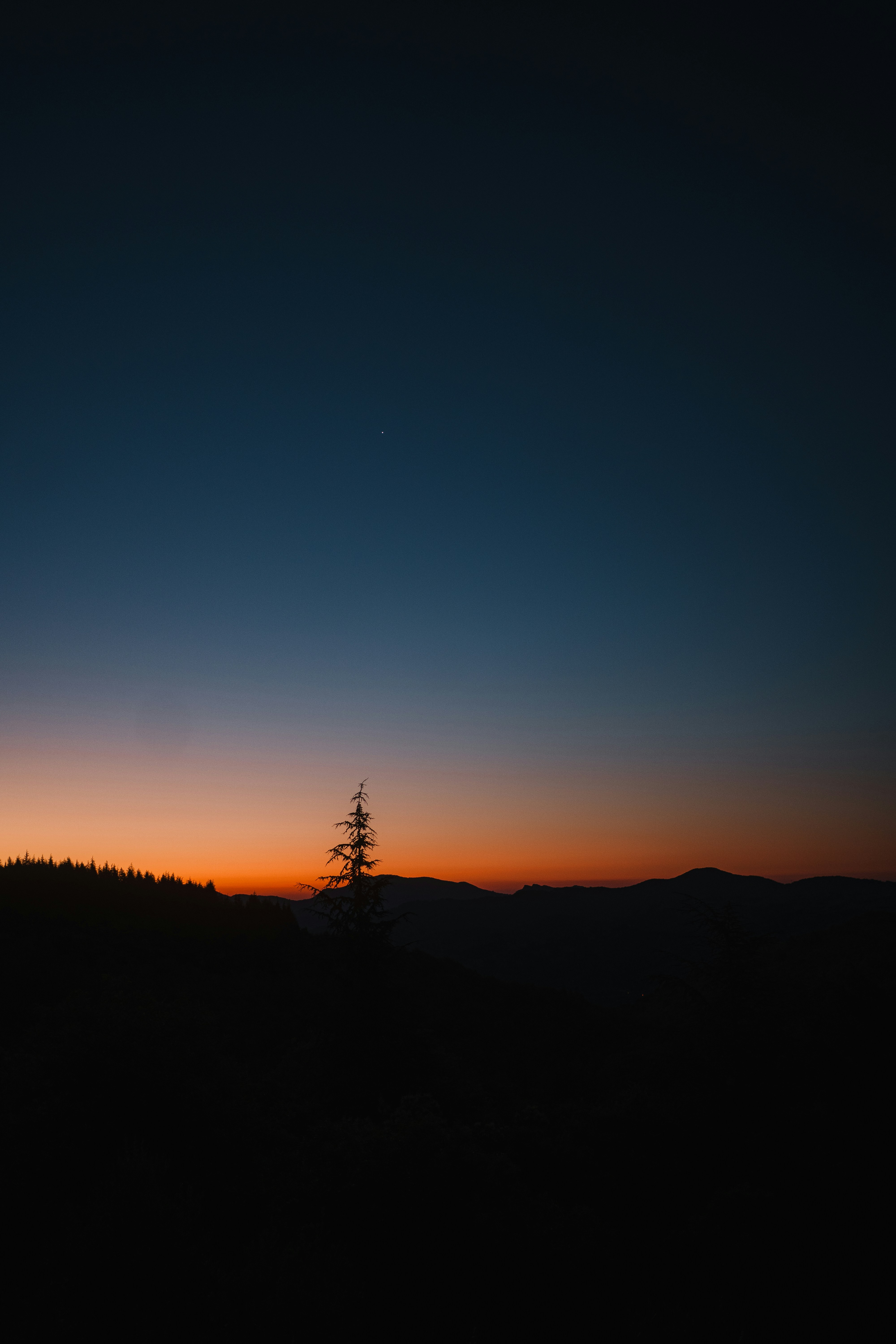Silhouetted tree against a gradient sky transitioning from deep blue to warm orange at dusk.