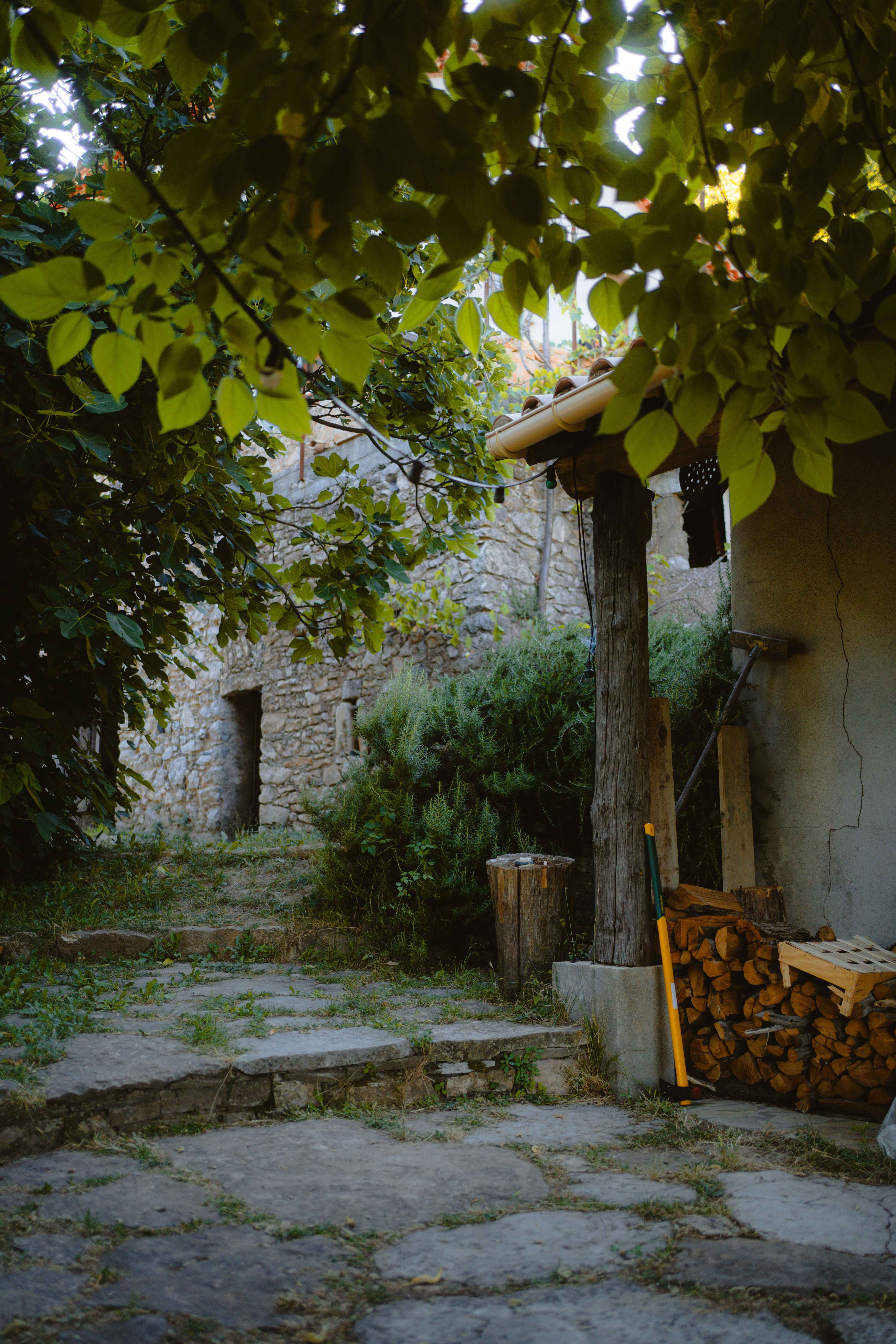 Whispers of Nature: A Serene Retreat