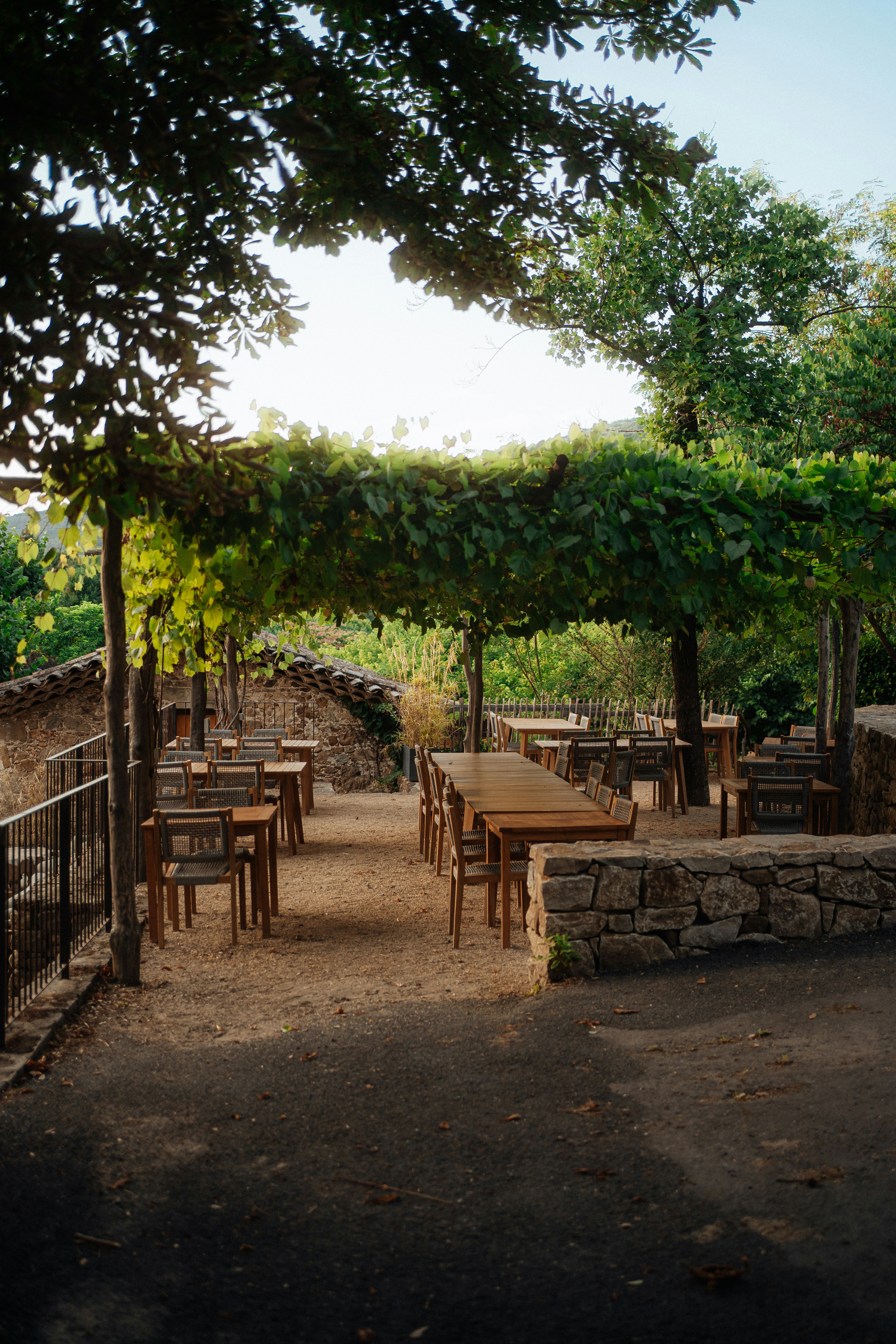 Under the Vine Canopy: Evening Tables on a Stone Terrace