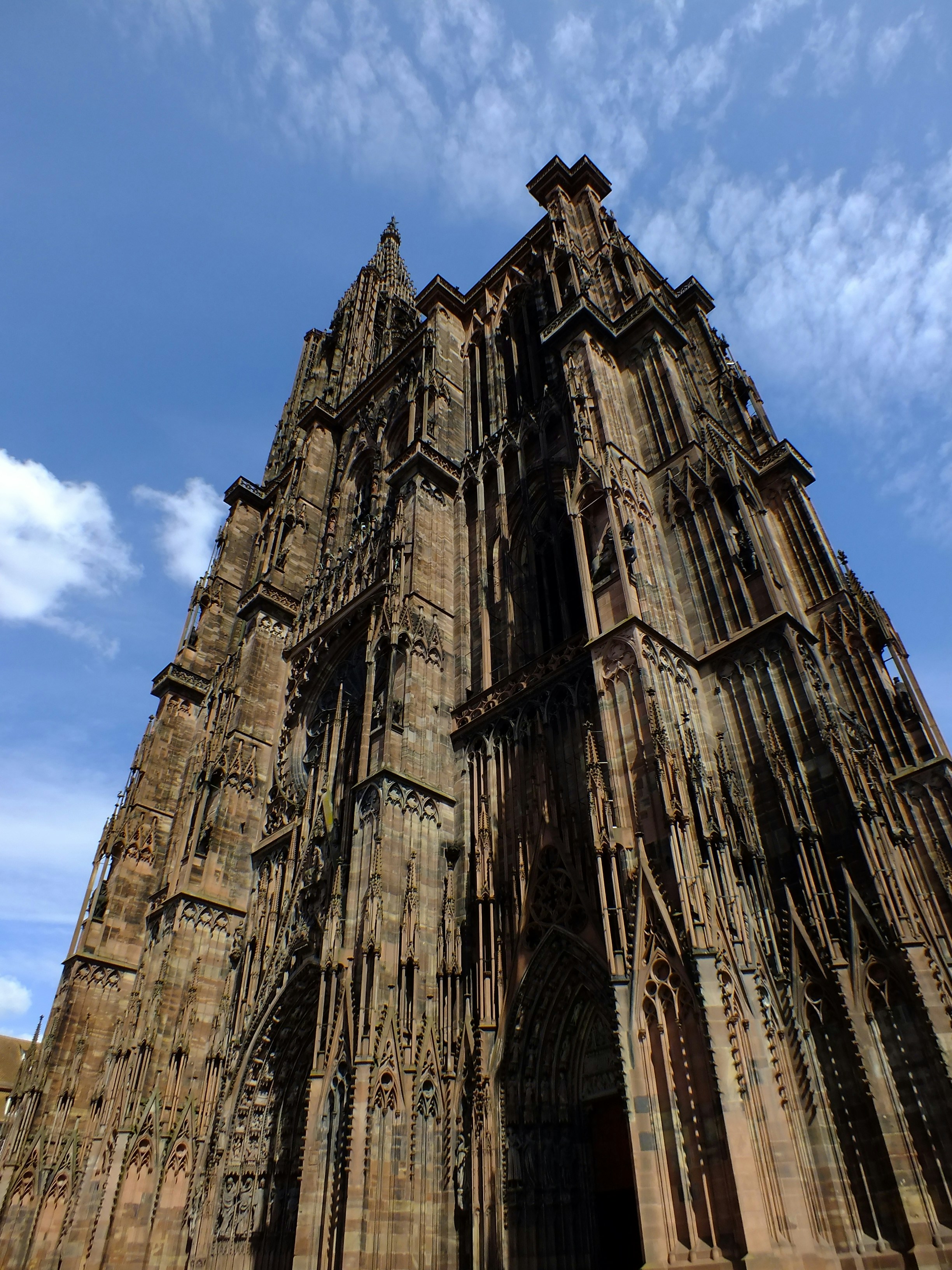 Dmytro Kurochka (@dmitromeow) | Komunitas Foto Unsplash