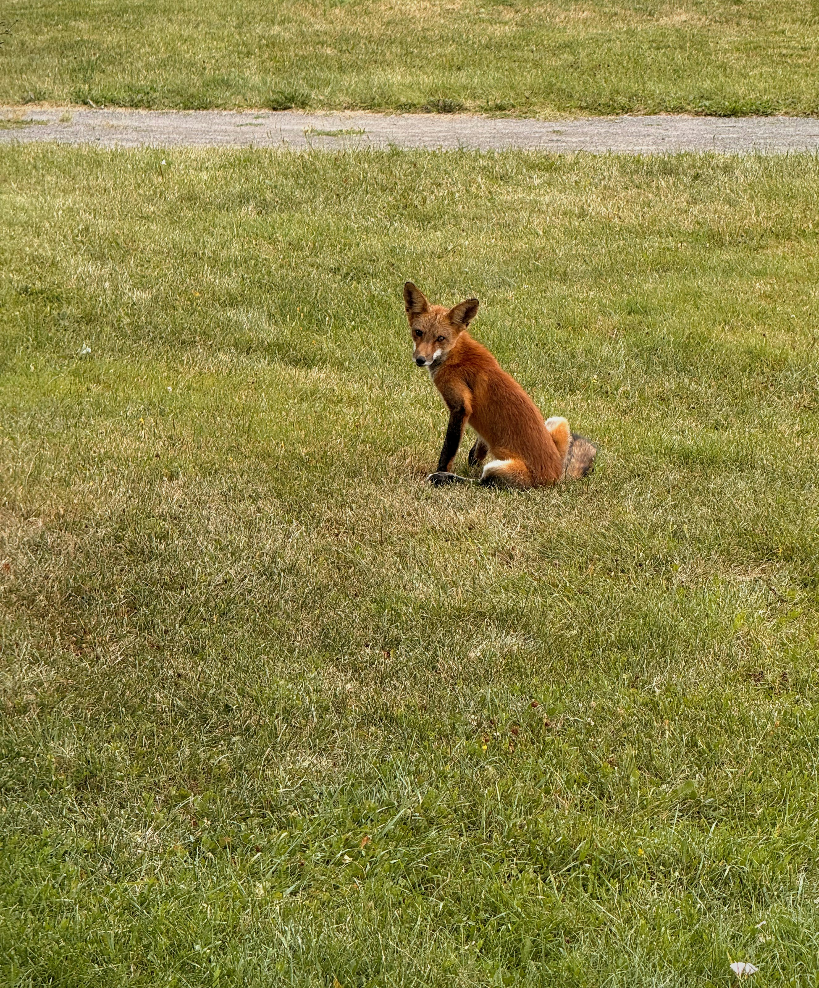 Jay Dee (@jdharris) | Unsplash Photo Community