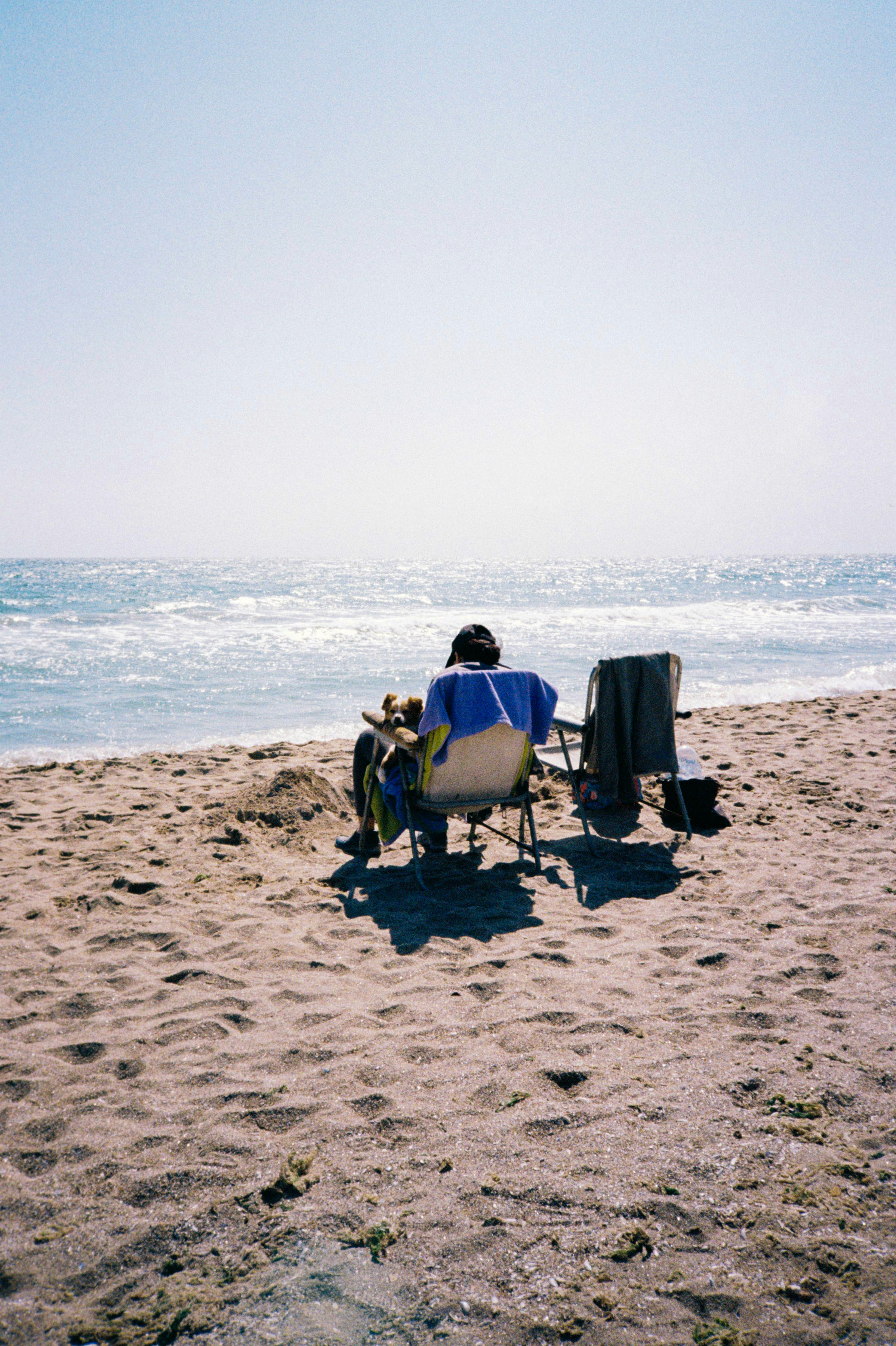 Person and dog relax on beach chairs by ocean.