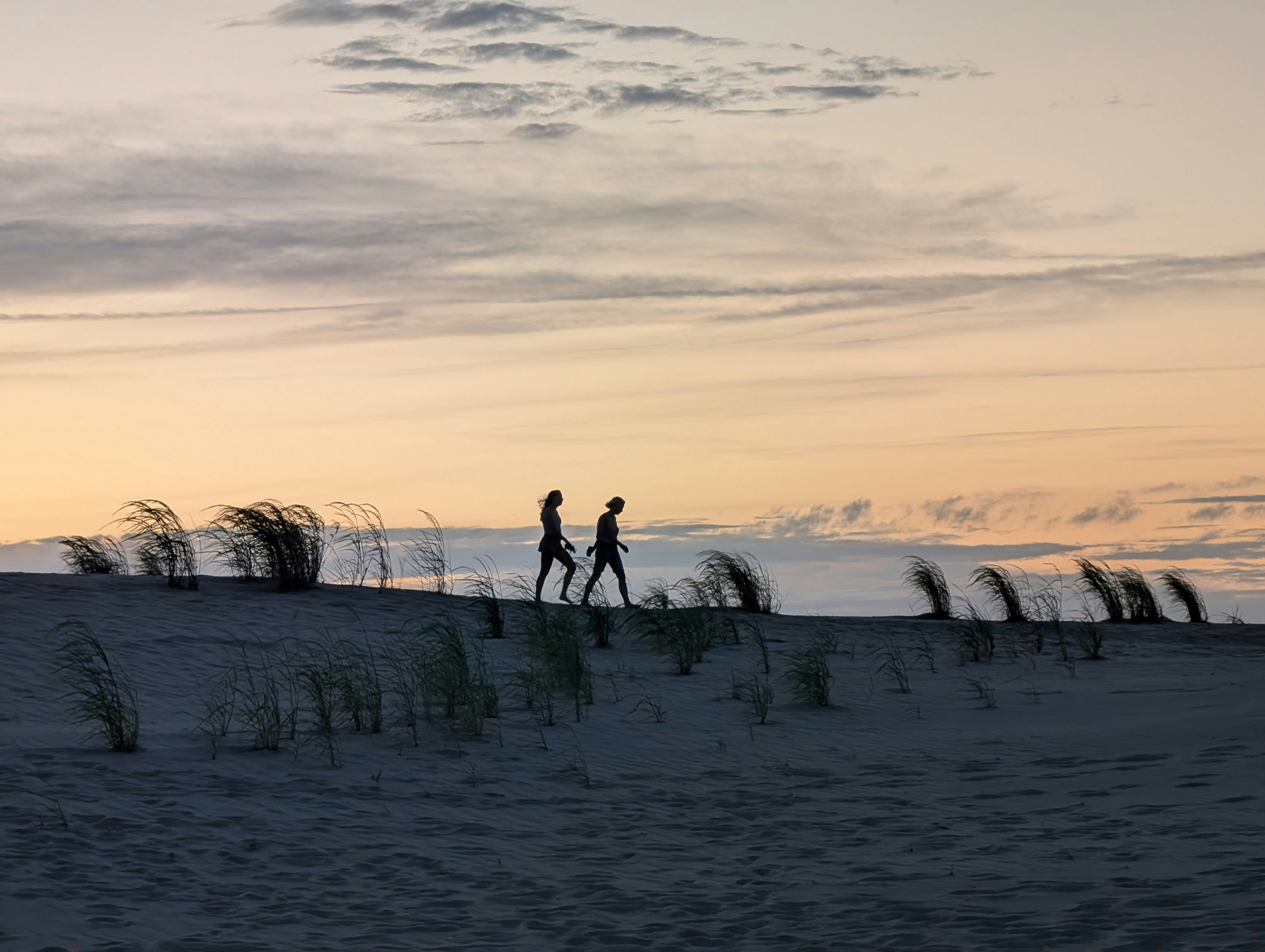 Silhouetted Stroll at Dusk