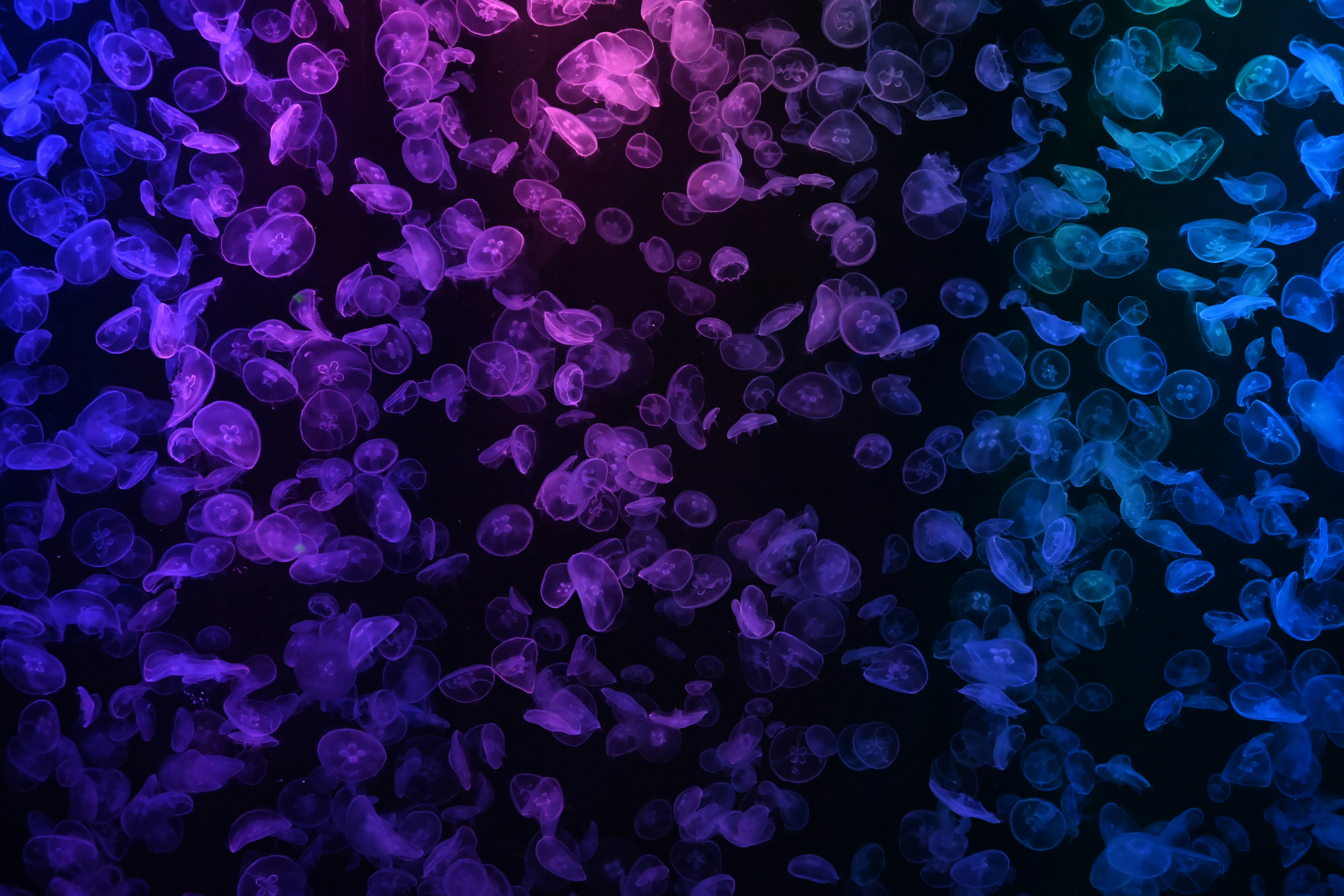 Abstract colorful glowing particles on a dark background.
