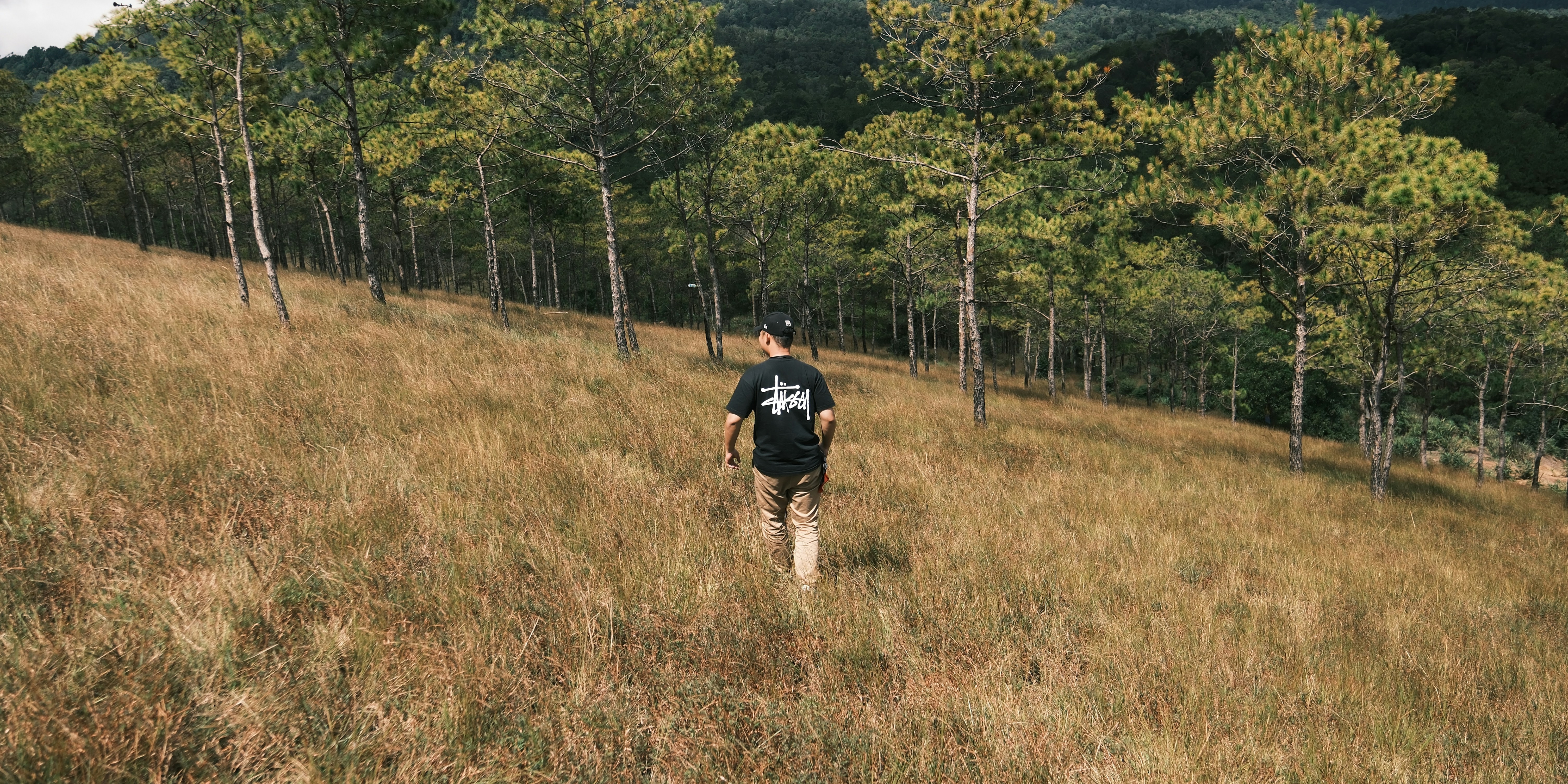 Wanderer in the Whispering Pines