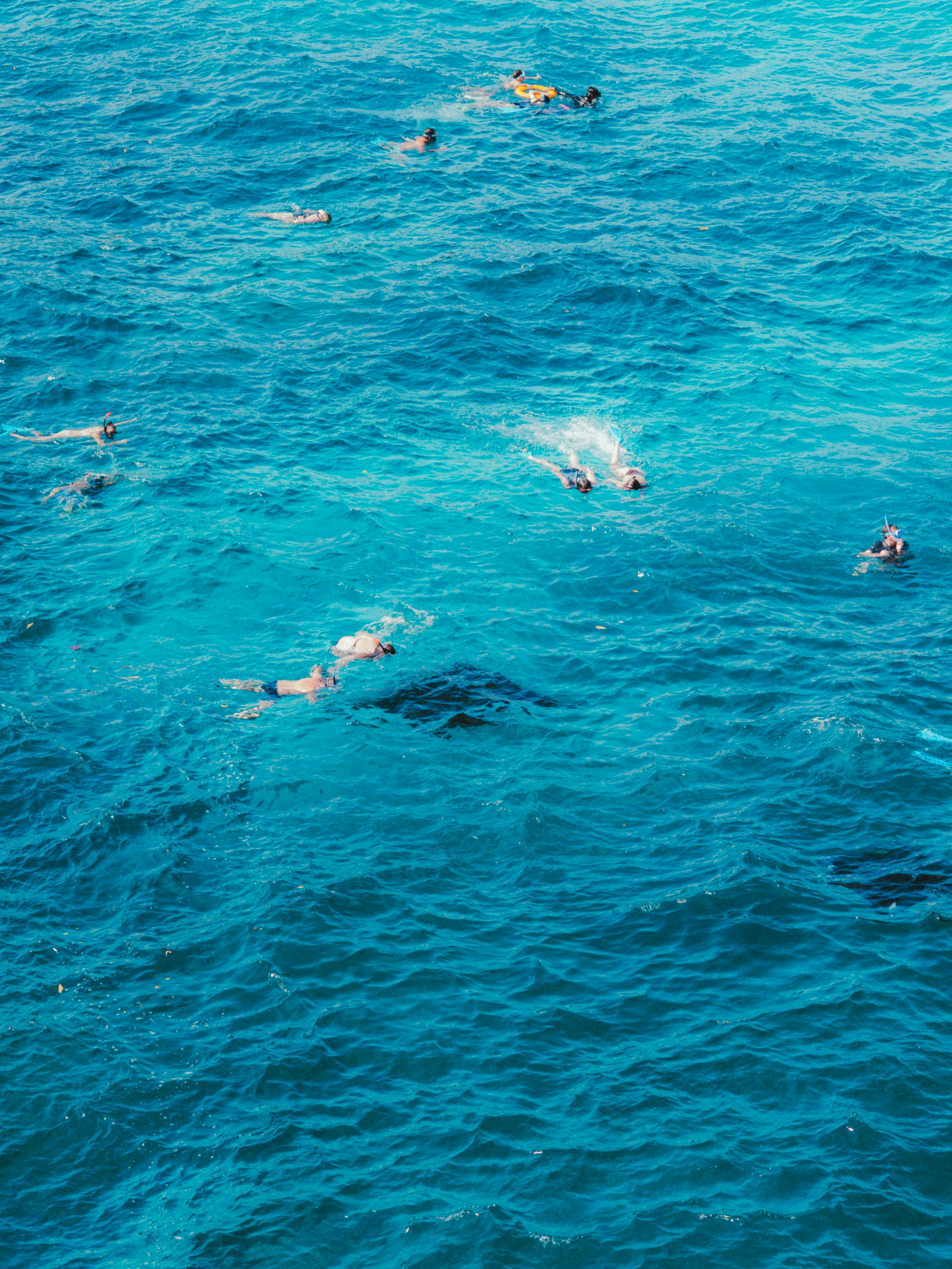 People snorkeling in clear turquoise ocean water.