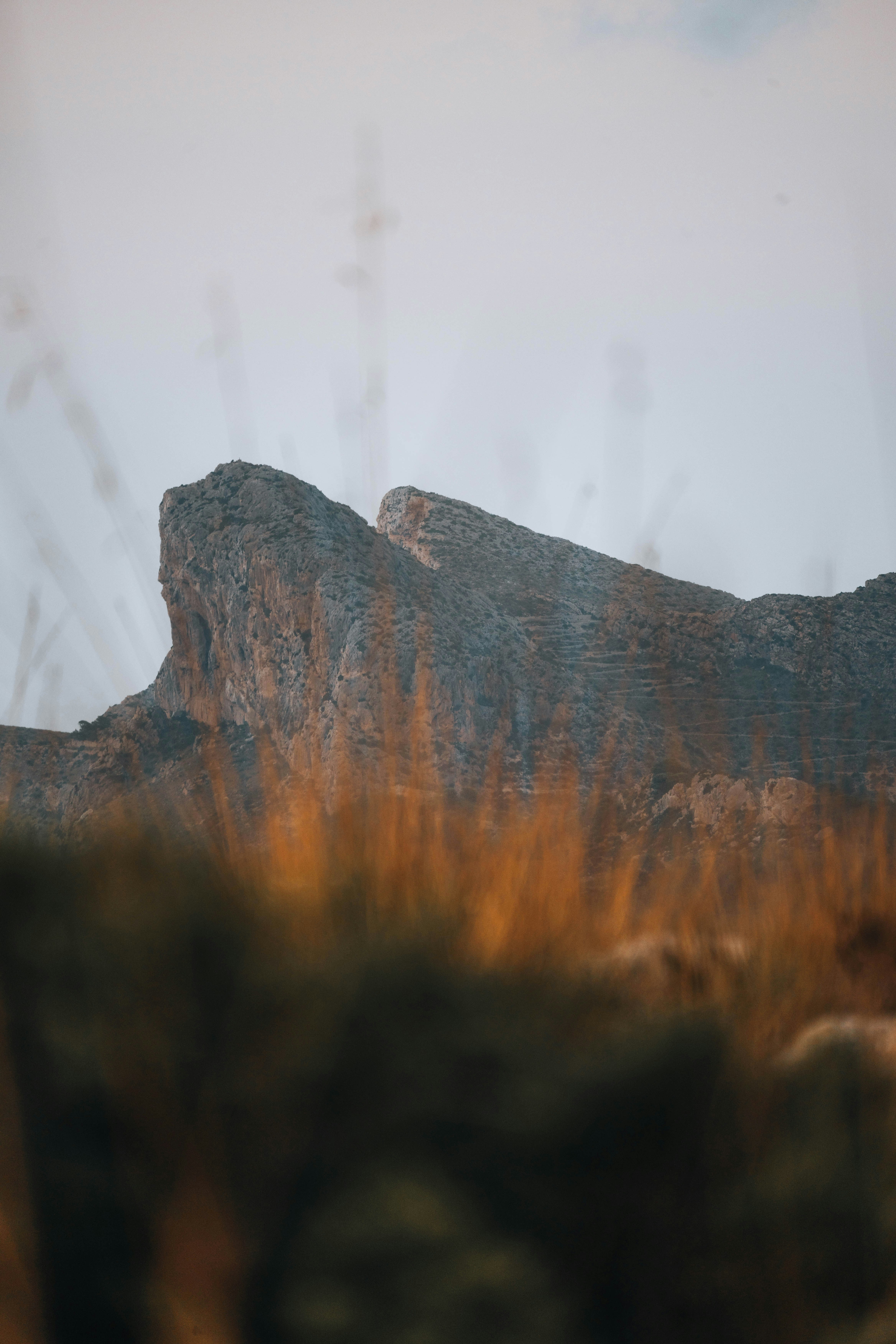 Majestic mountain ridge emerging from a field of golden grass, shrouded in soft atmospheric tones.