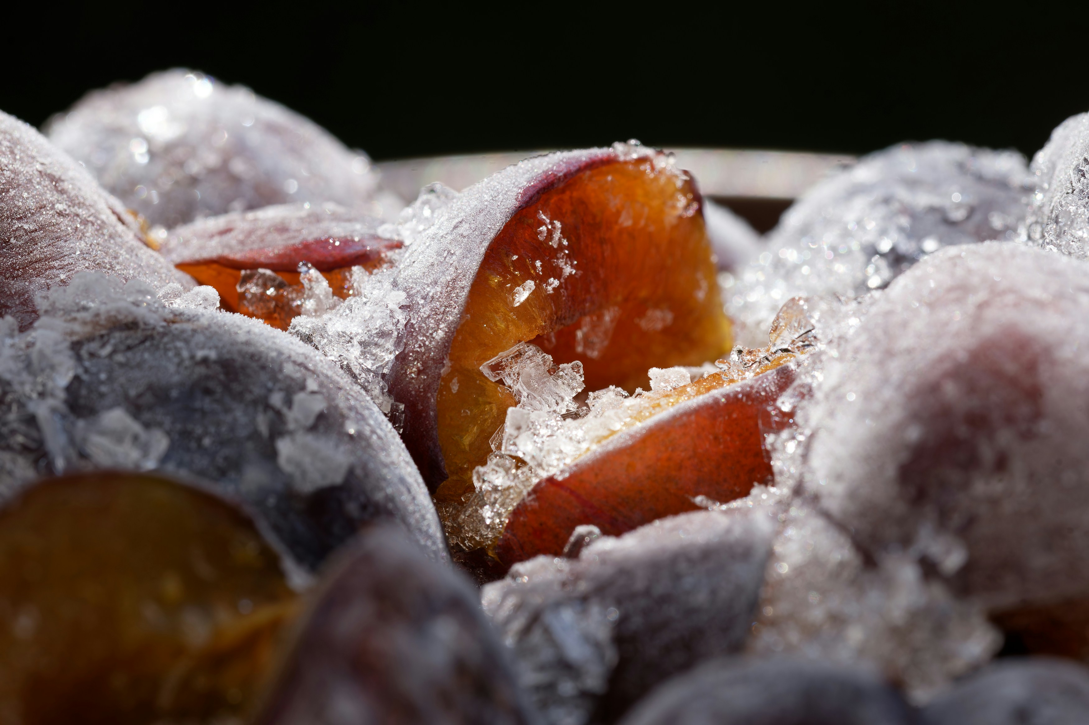 Gefrorene Pflaumen in Nahaufnahme | Frozen plums covered in ice crystals