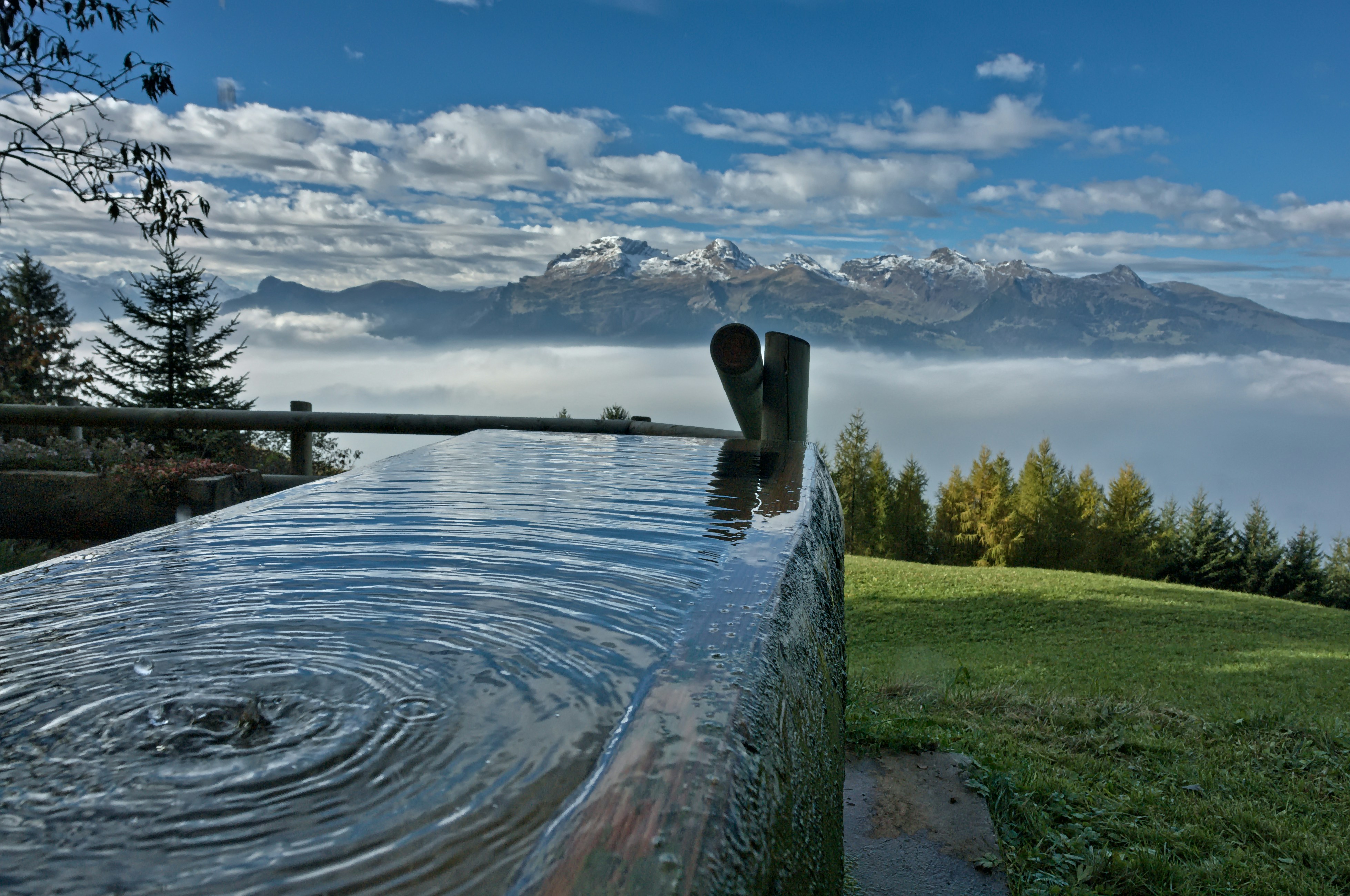 Calm water reflecting the sky and distant mountains, framed by lush greenery and trees. The scene evokes tranquility and connection to nature.