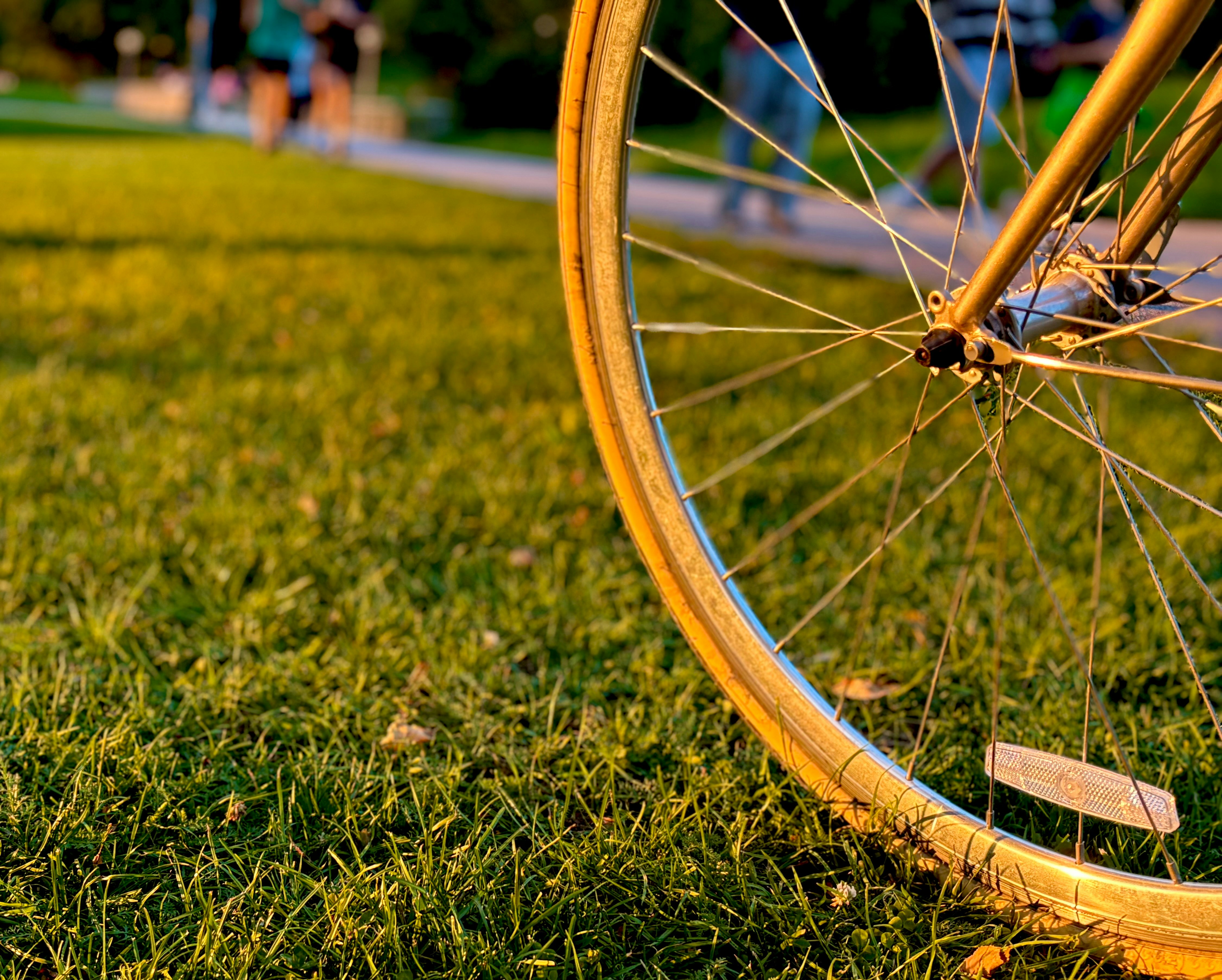 Wheels of Adventure: A Glimpse into Everyday Journeys