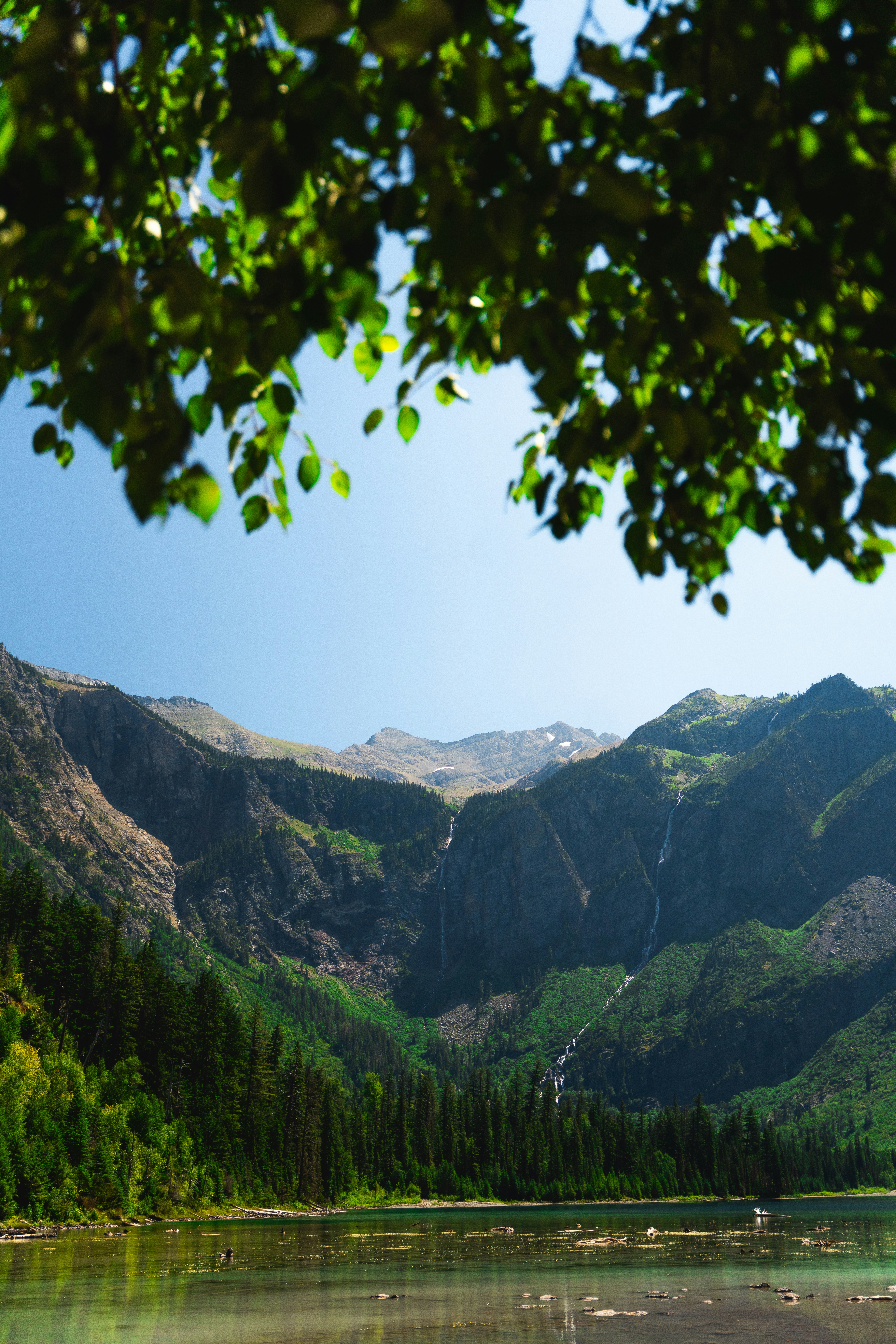 Whispers of the Mountain Stream