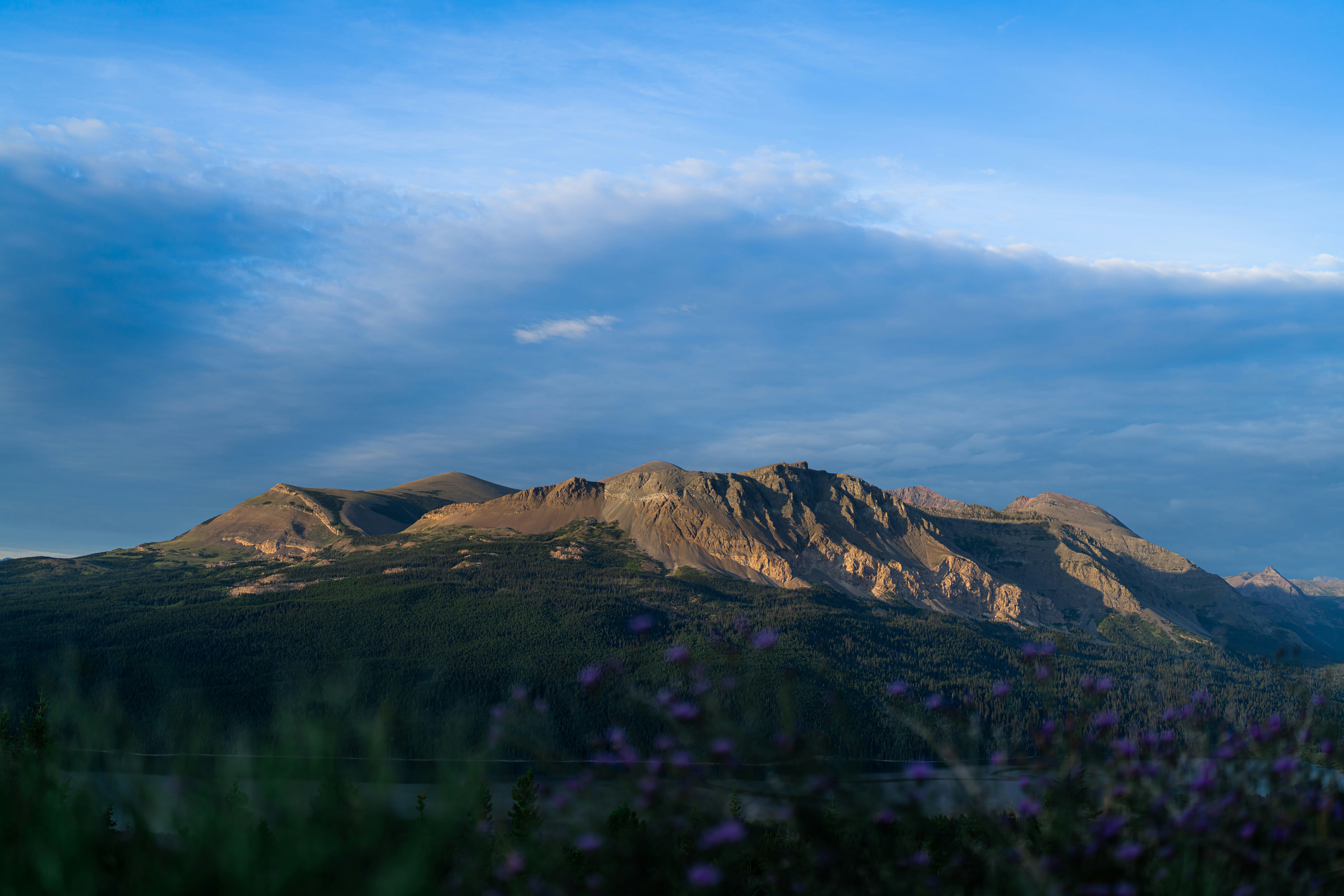 Majestic mountains bathed in golden light under a vast sky, with wildflowers in the foreground adding a touch of color.