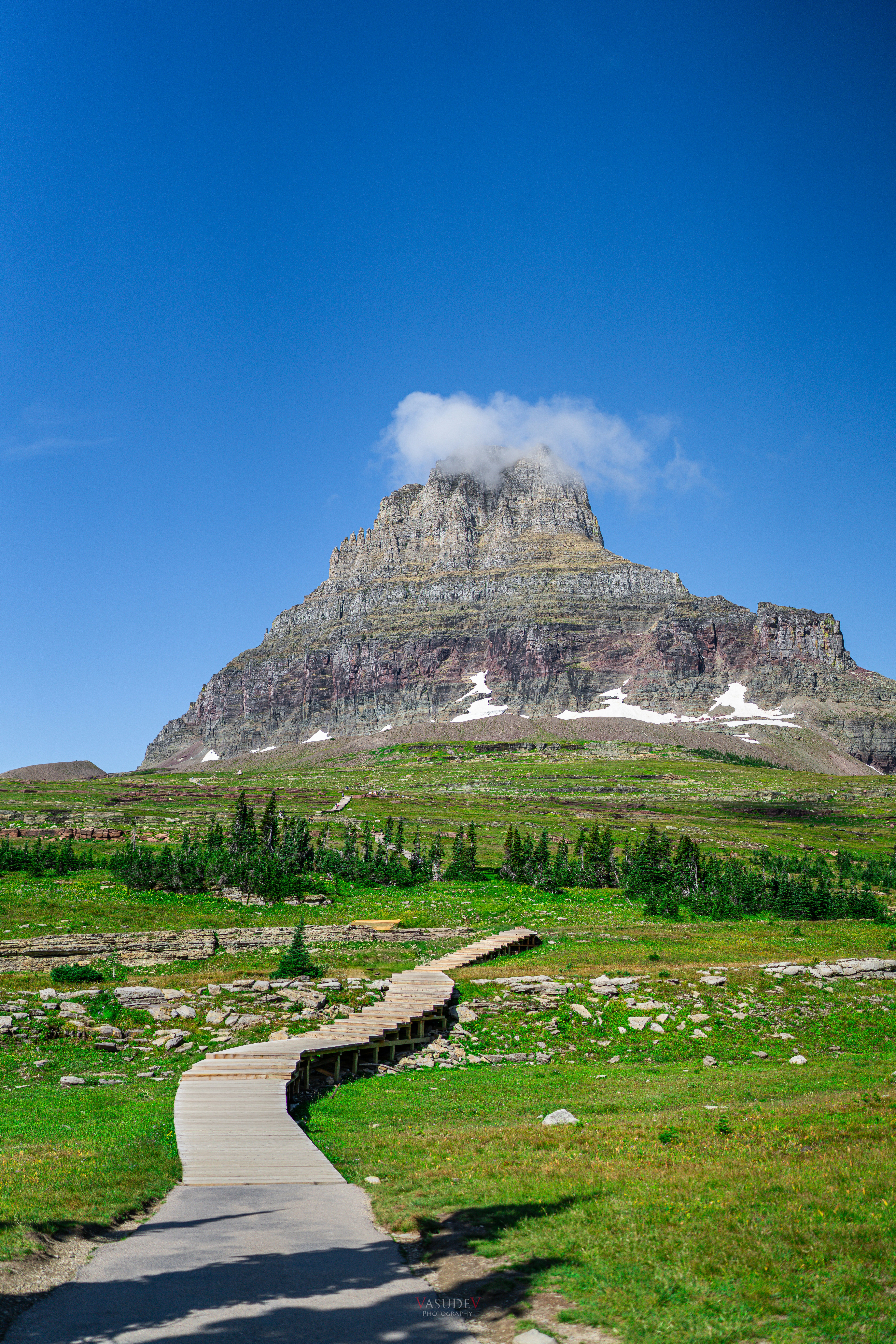 Journey to the Summit: Nature's Pathway