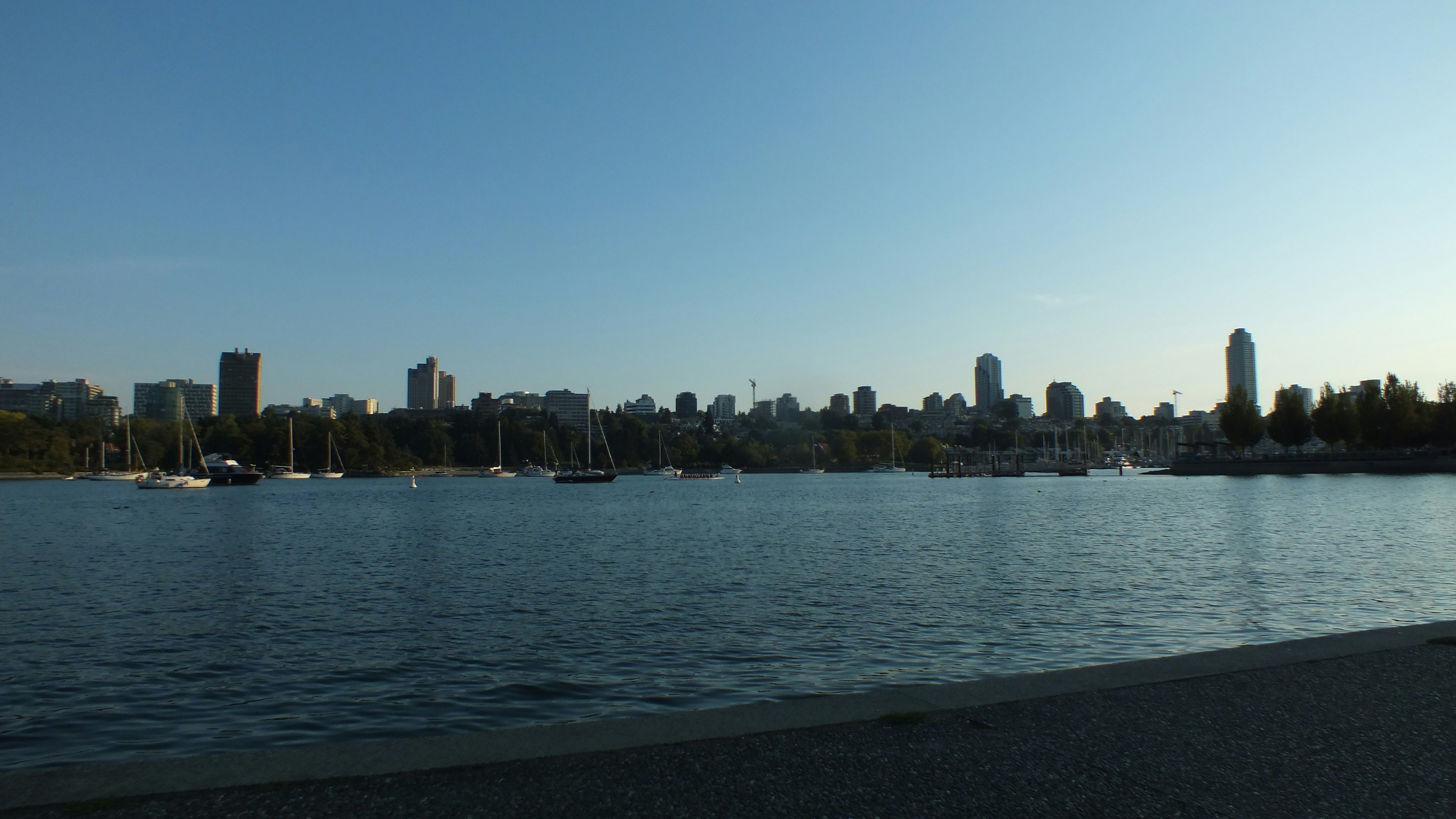 City skyline across a bay with sailboats
