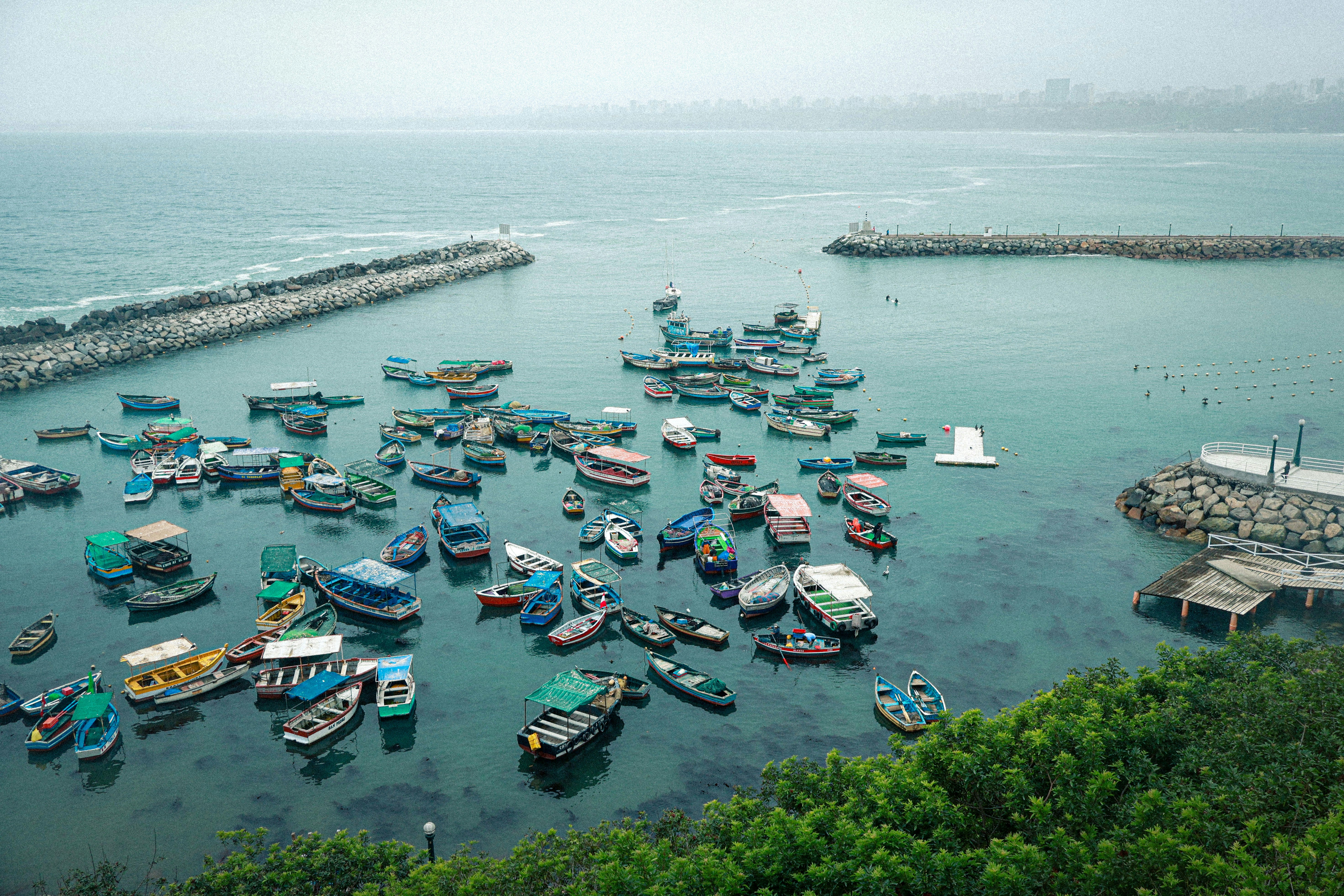 A vibrant collection of fishing boats anchored in a tranquil harbor, surrounded by lush greenery and a distant city skyline.