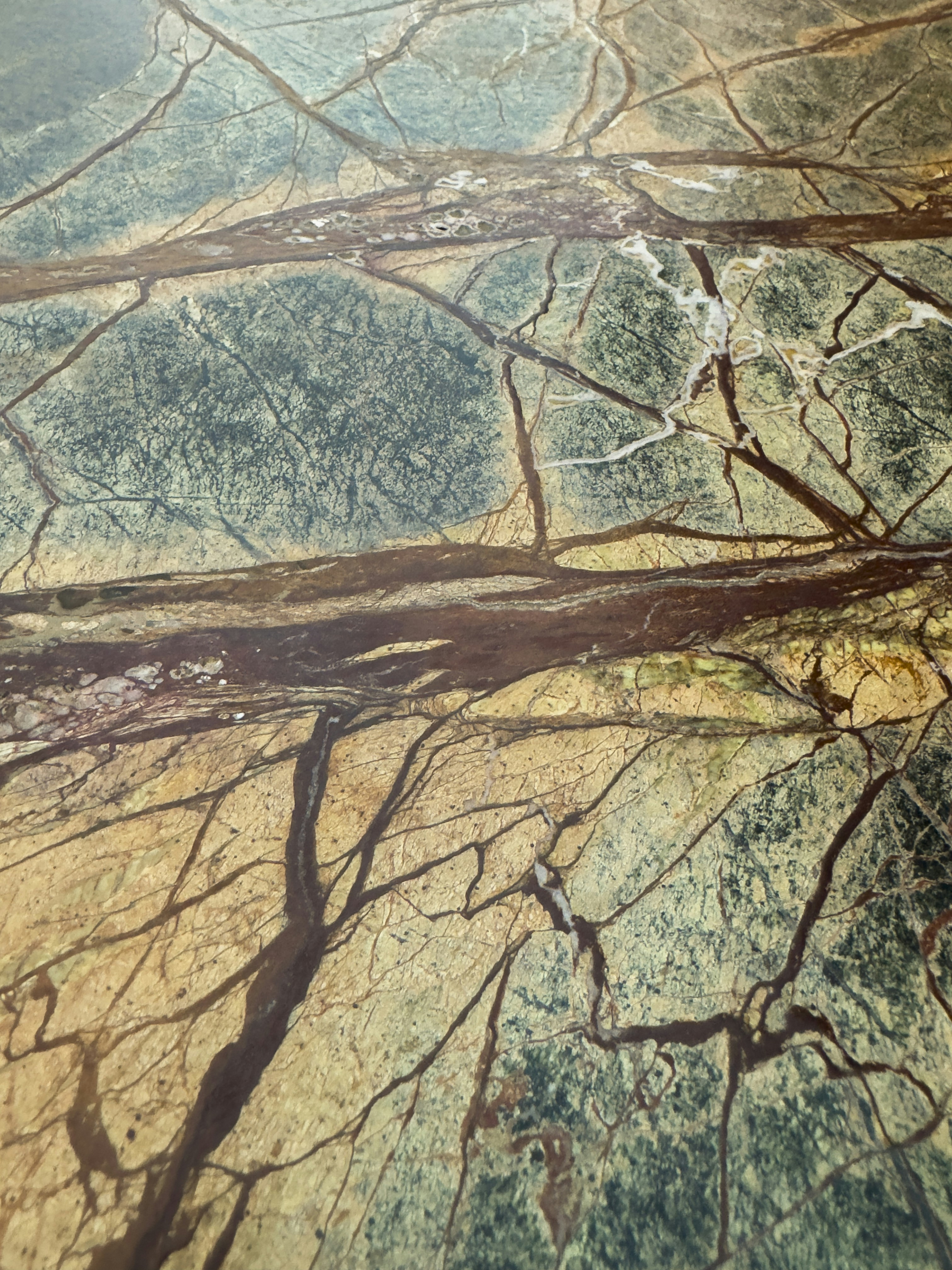 Veins of a Dried World: a blue-green cracked-earth mosaic