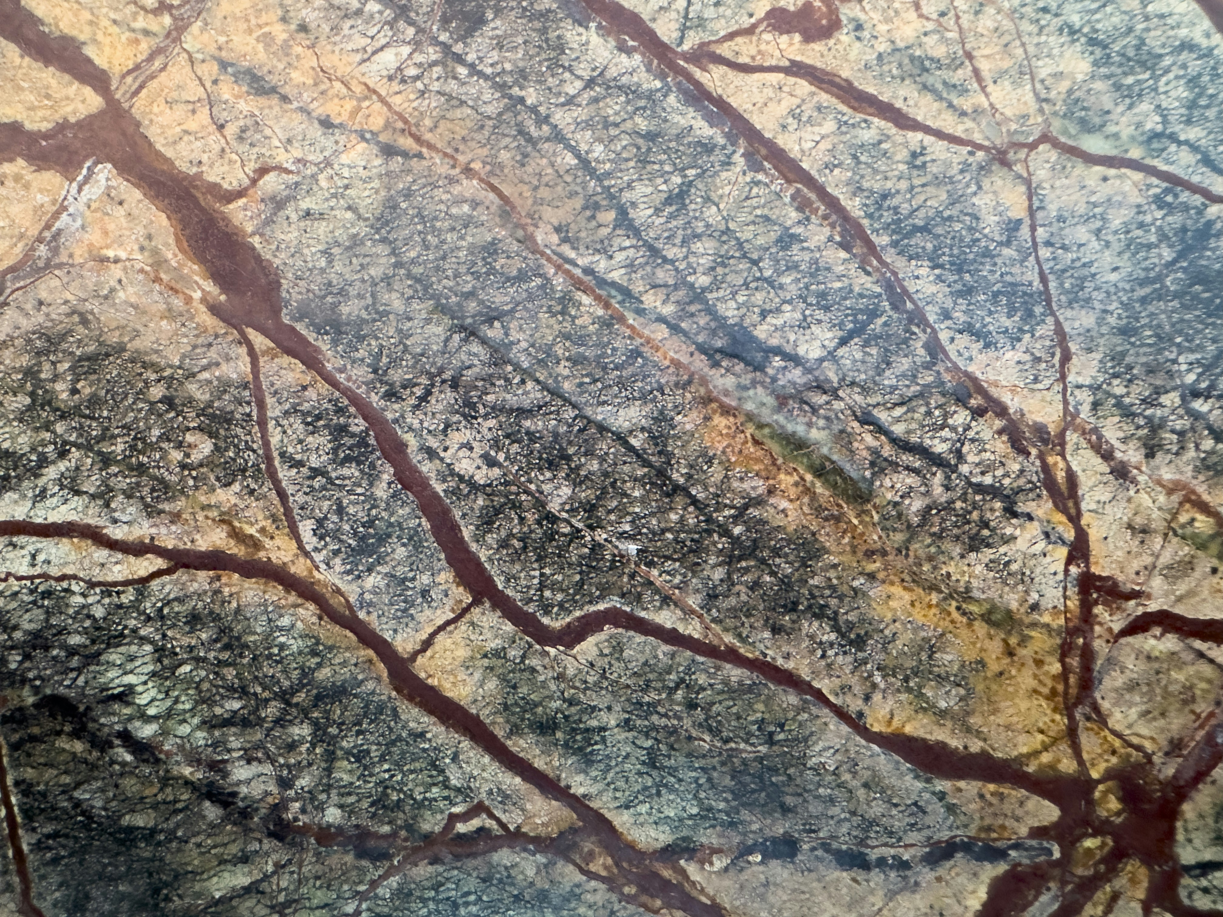 Close-up of textured stone surface showcasing intricate patterns and natural color variations. The geological features highlight the earth's layered history.