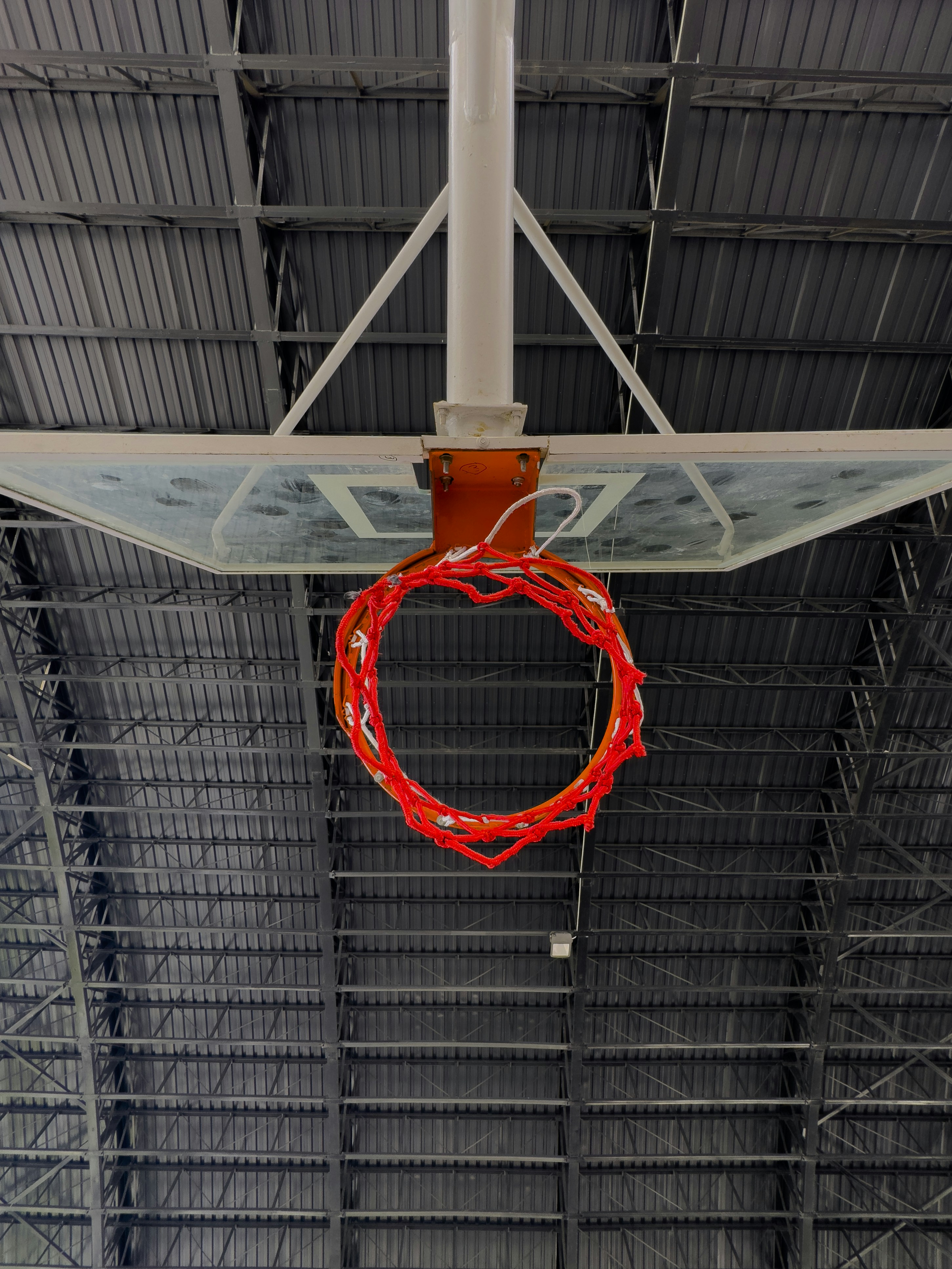 The Heart of the Game: A Hoop's Perspective