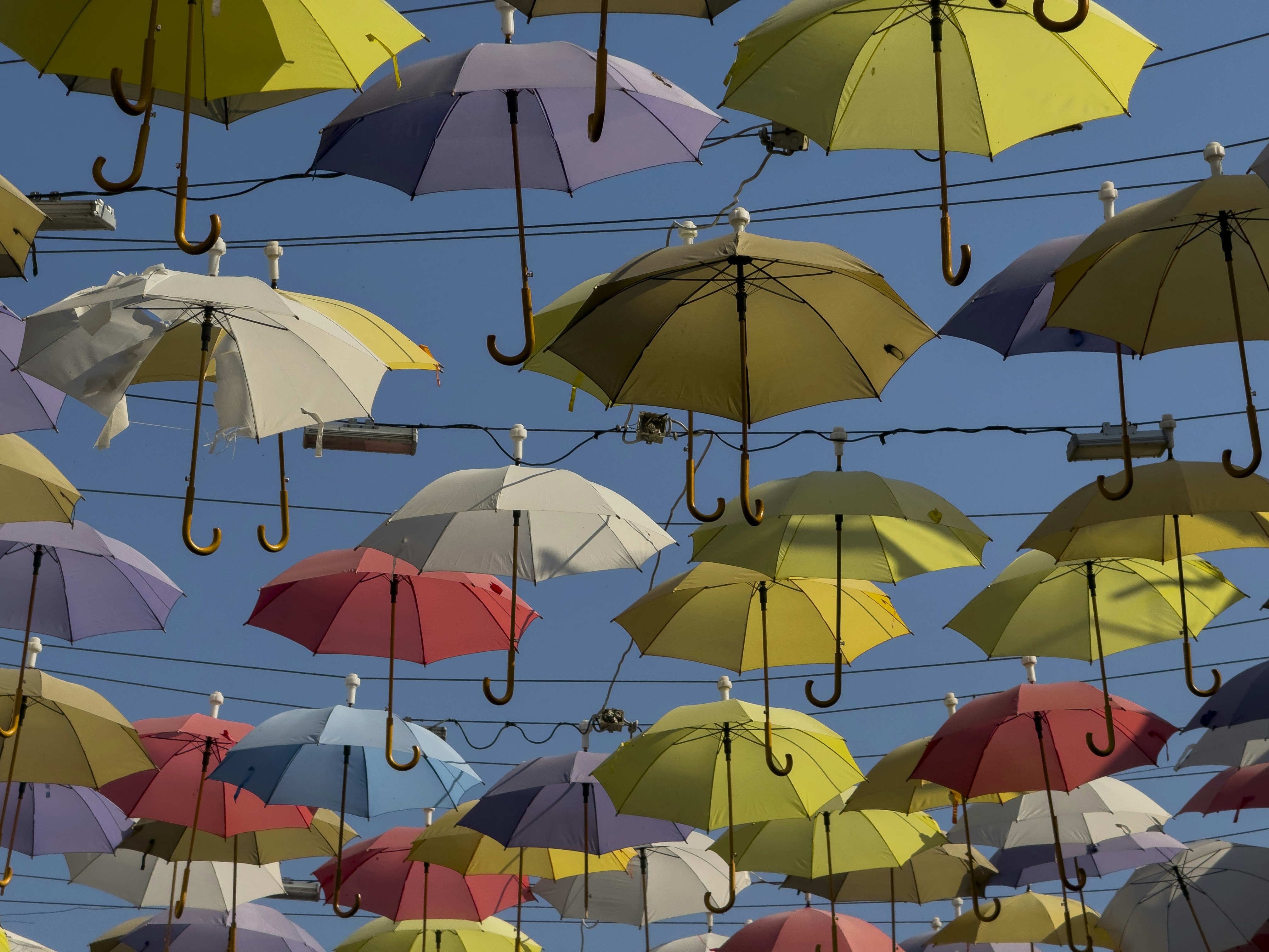 artistic umbrella decoration in city street | Colorful umbrellas suspended against a clear blue sky.