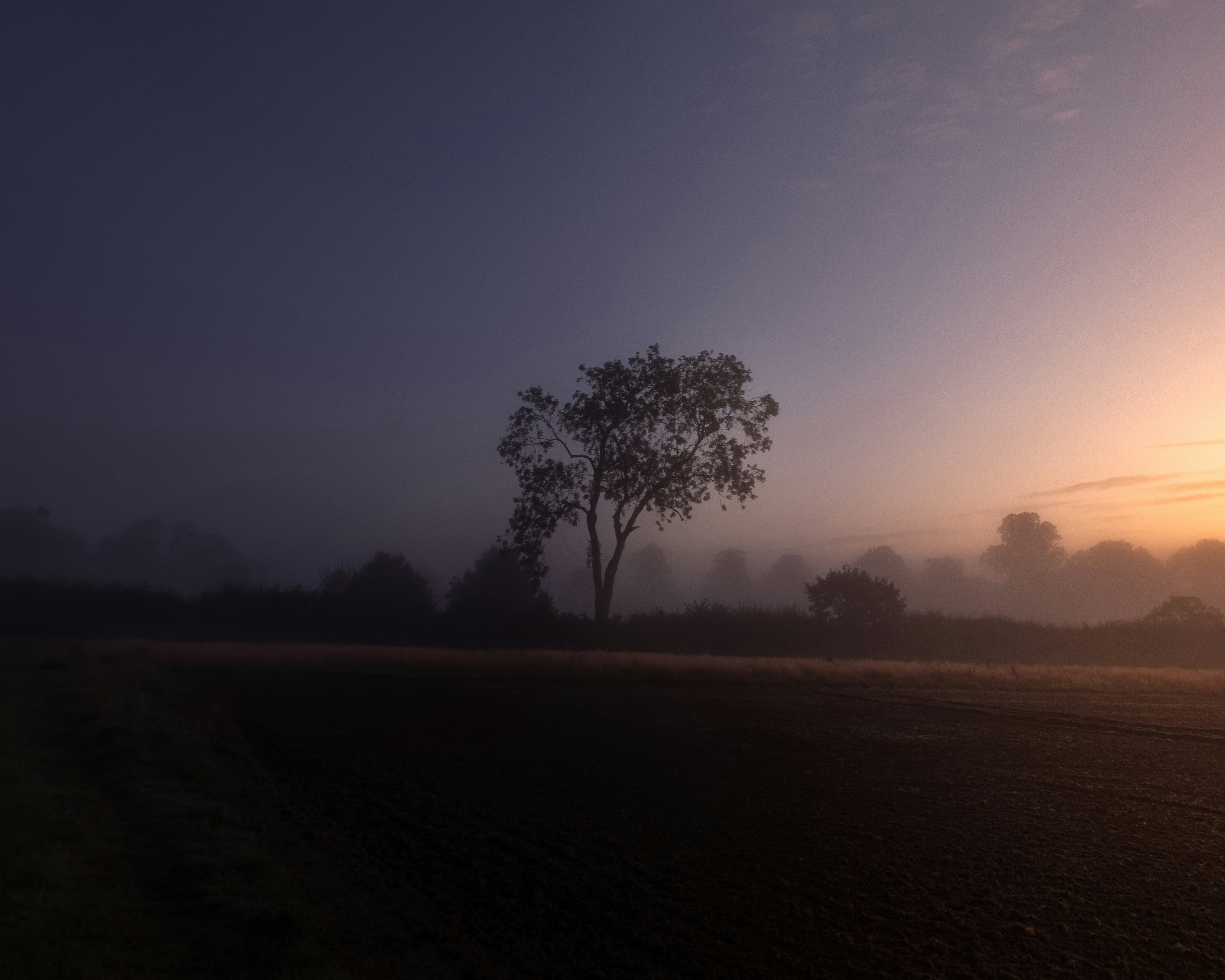 English countryside sunrise | Misty sunrise over a field with a lone tree