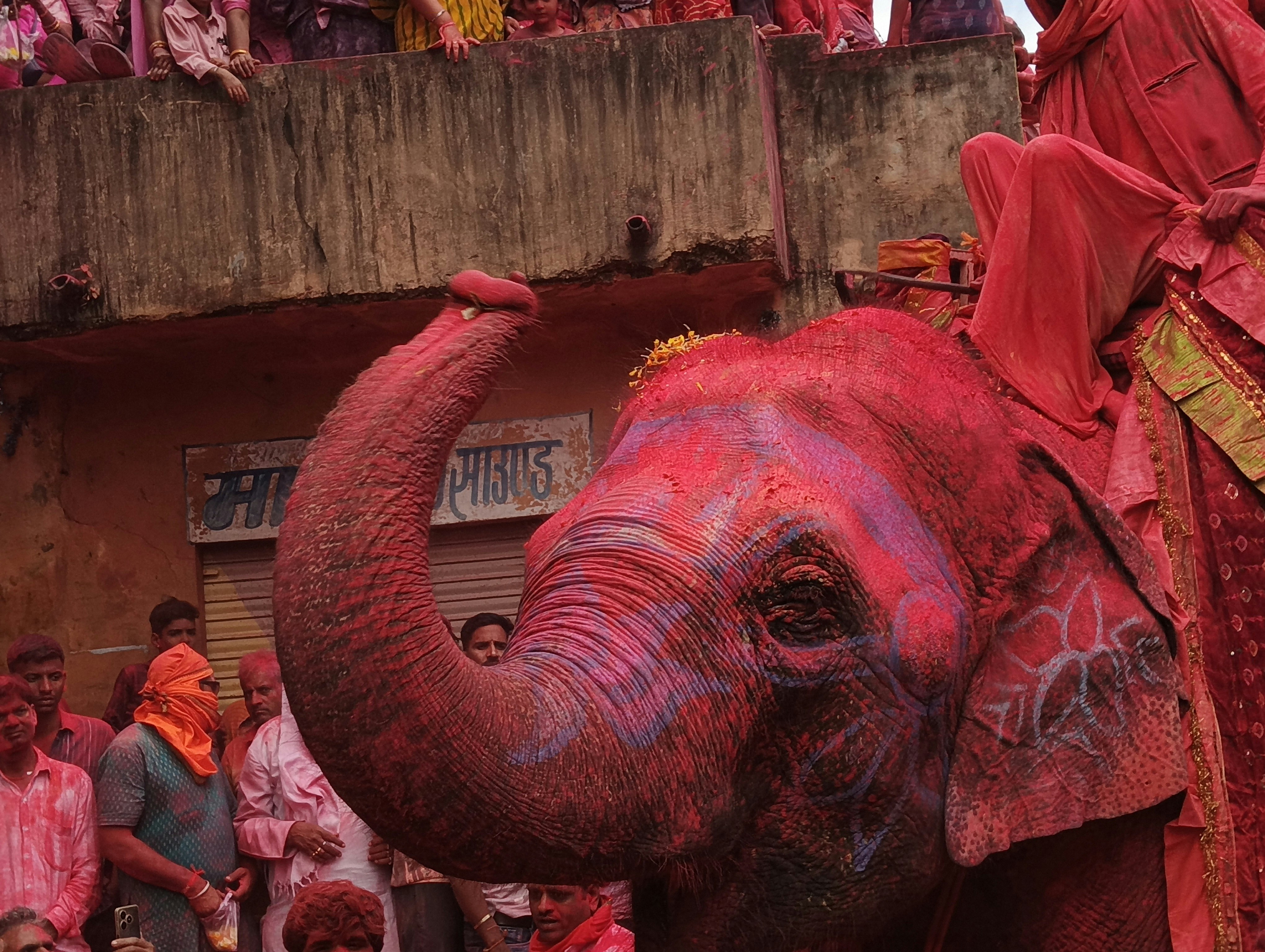 Sample photo from Redmi 13C