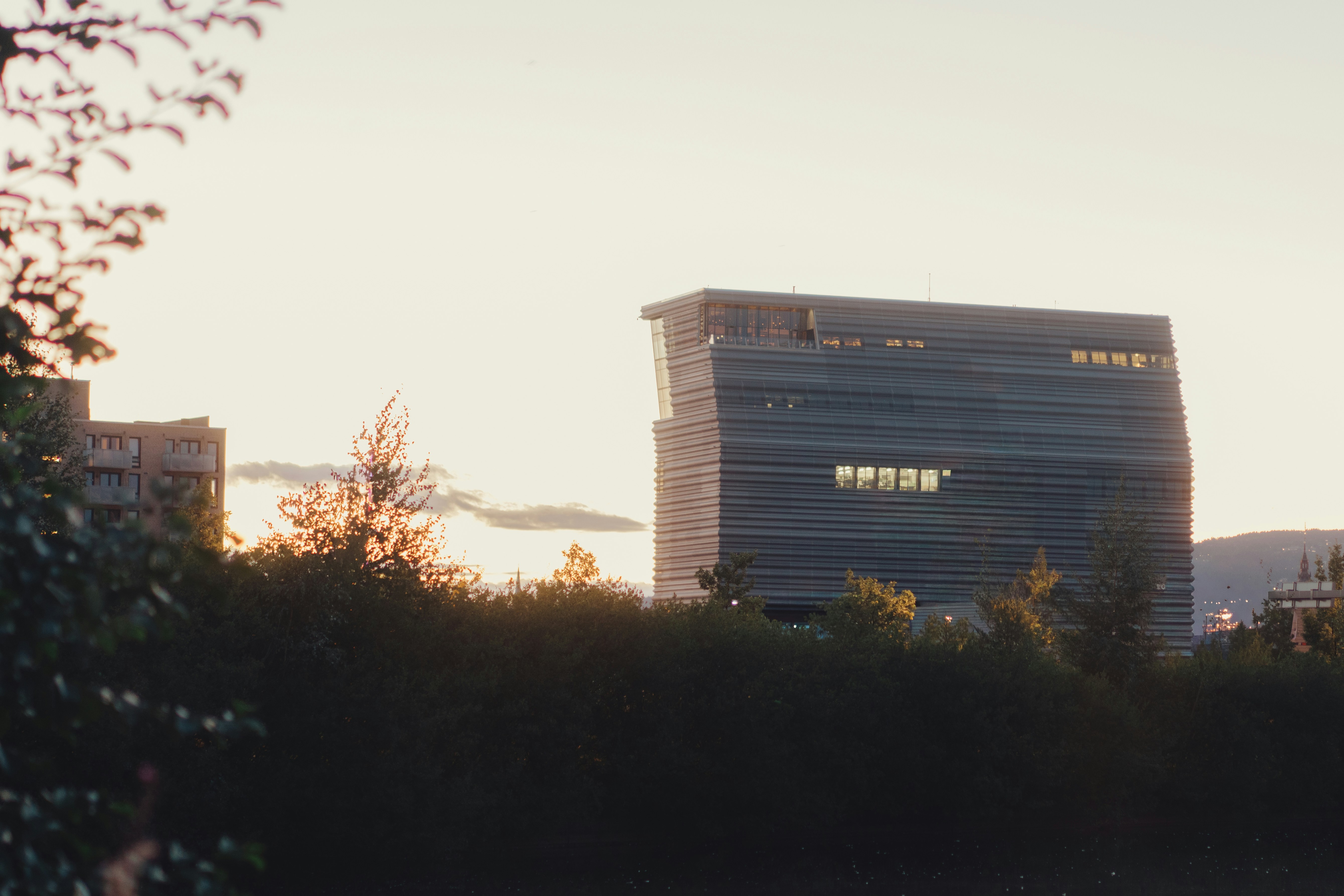 Modern building seen through trees at sunset