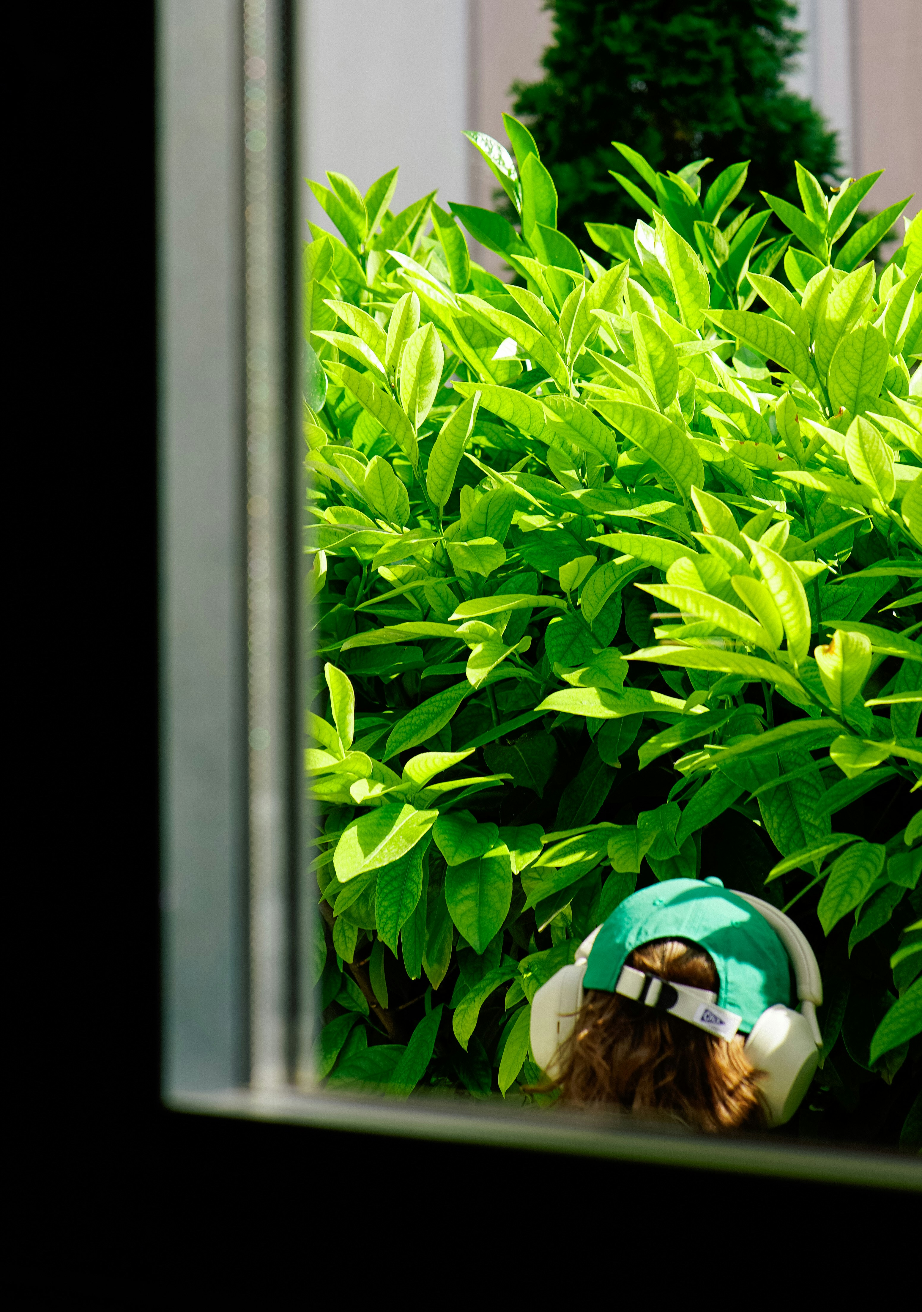 Green Labyrinth: A Hidden Listener in the Foliage