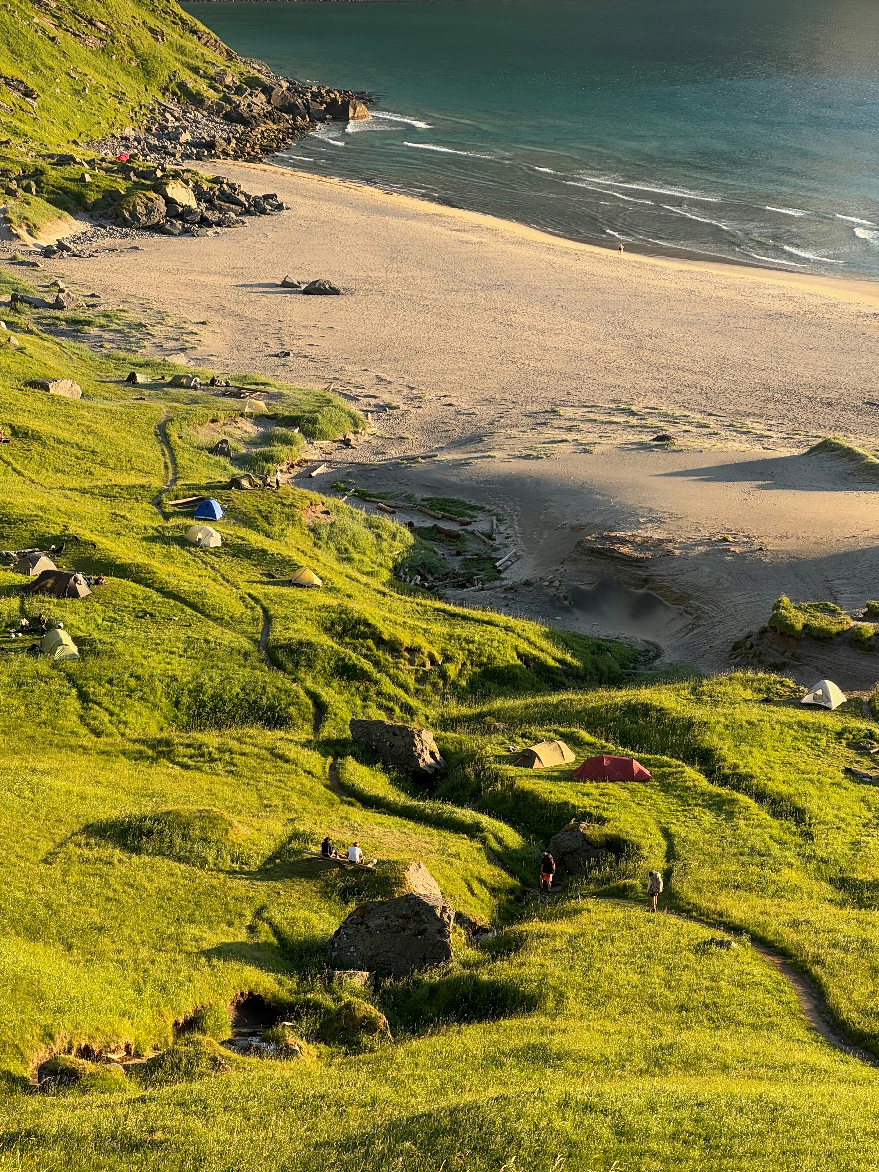 Whispers of the Coastline: A Tapestry of Nature and Shelter