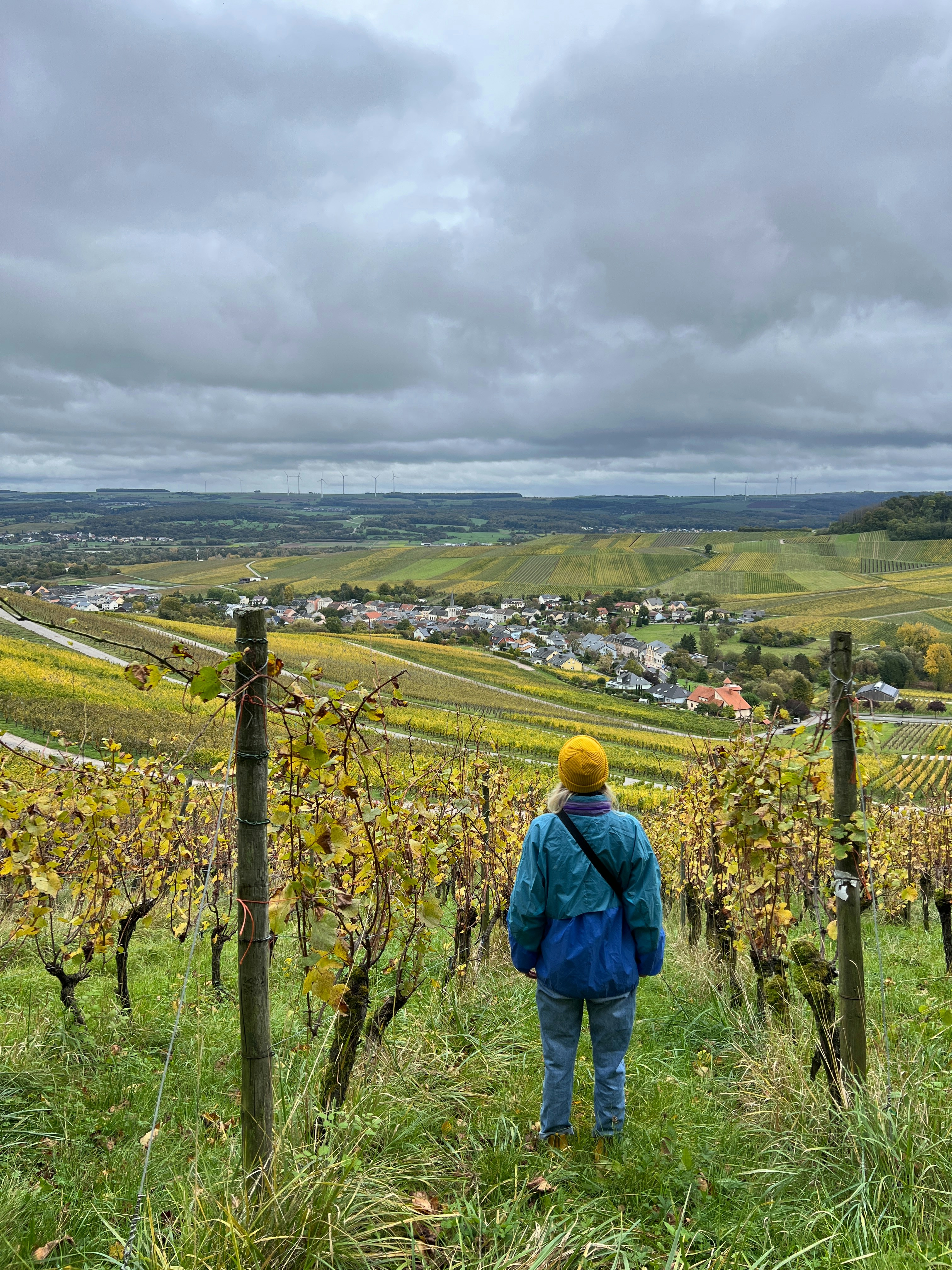 Between Vines and Wind: A Quiet Watcher Over a Painted Valley