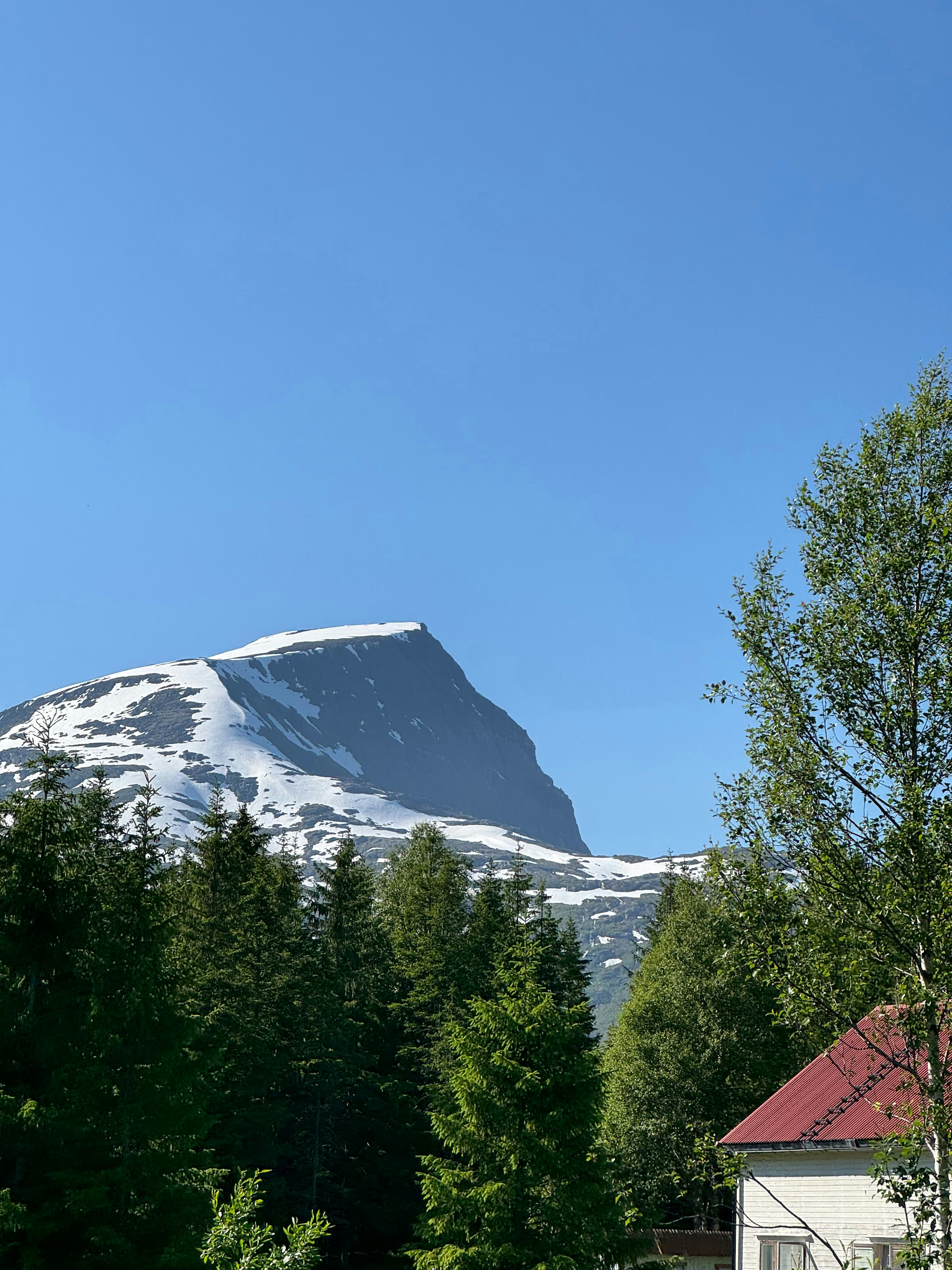 The Silent Sentinel: A Snow-Capped Guardian