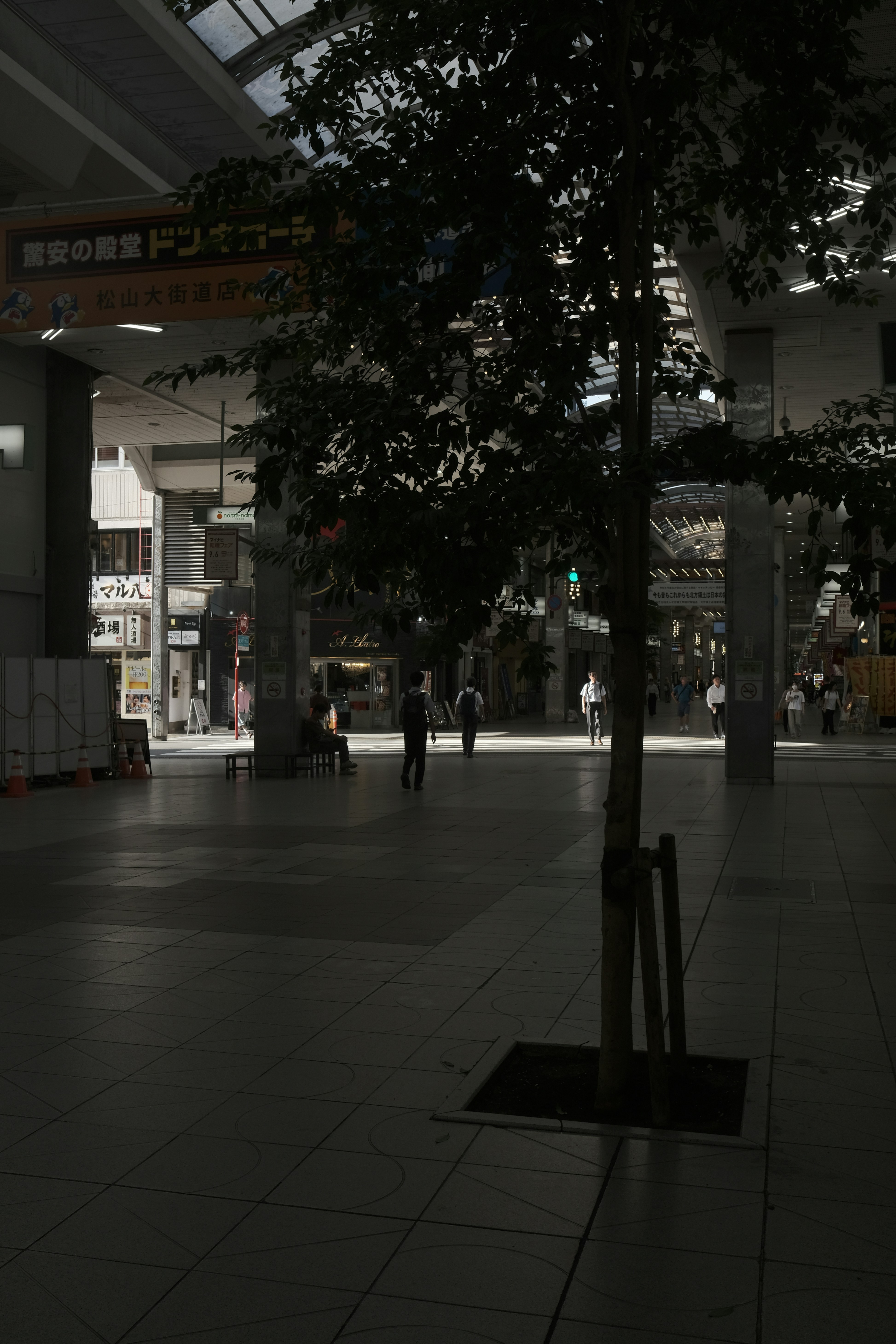 Tree in a dimly lit urban walkway with people walking.