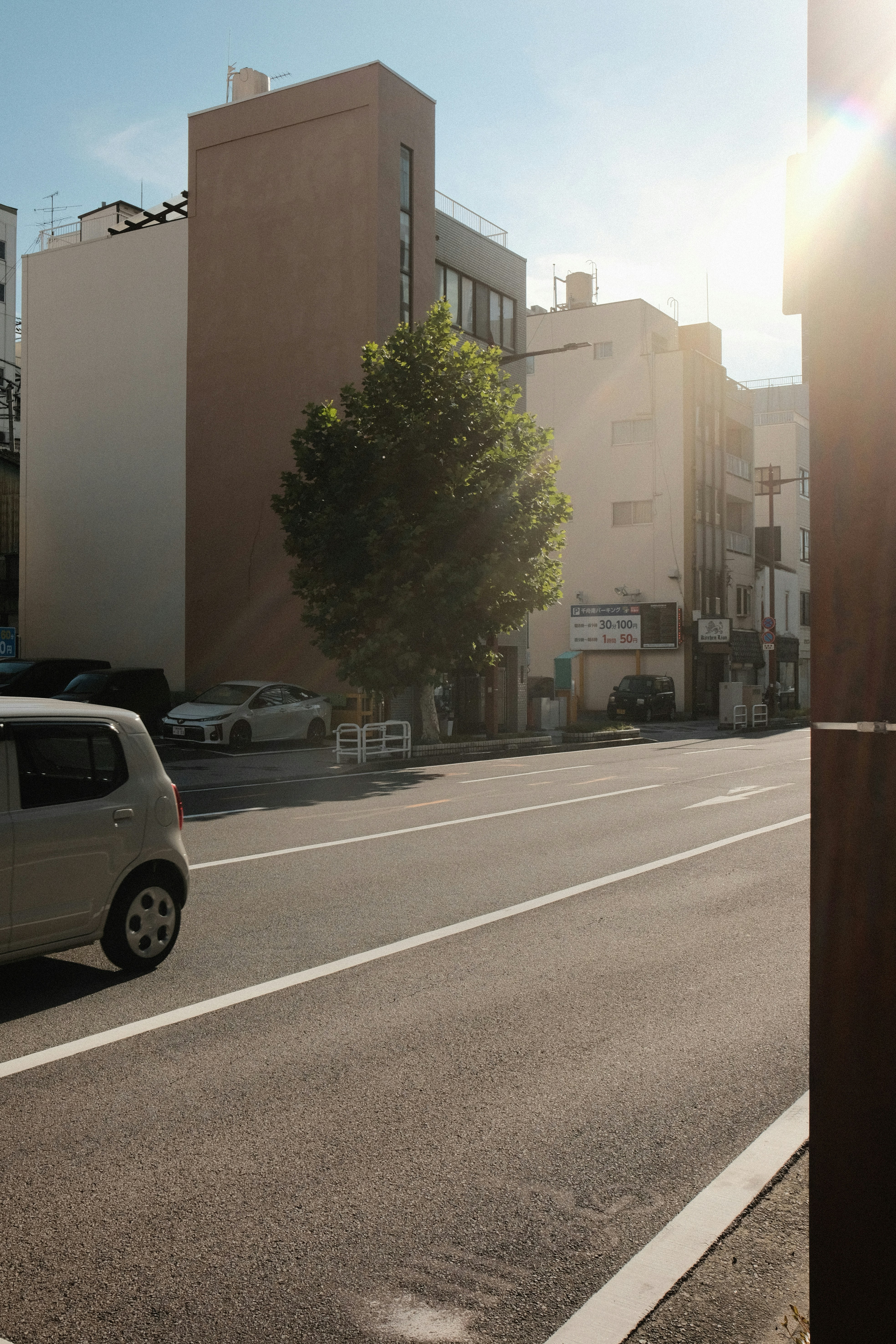 Urban Serenity: A Quiet Moment on the City Streets