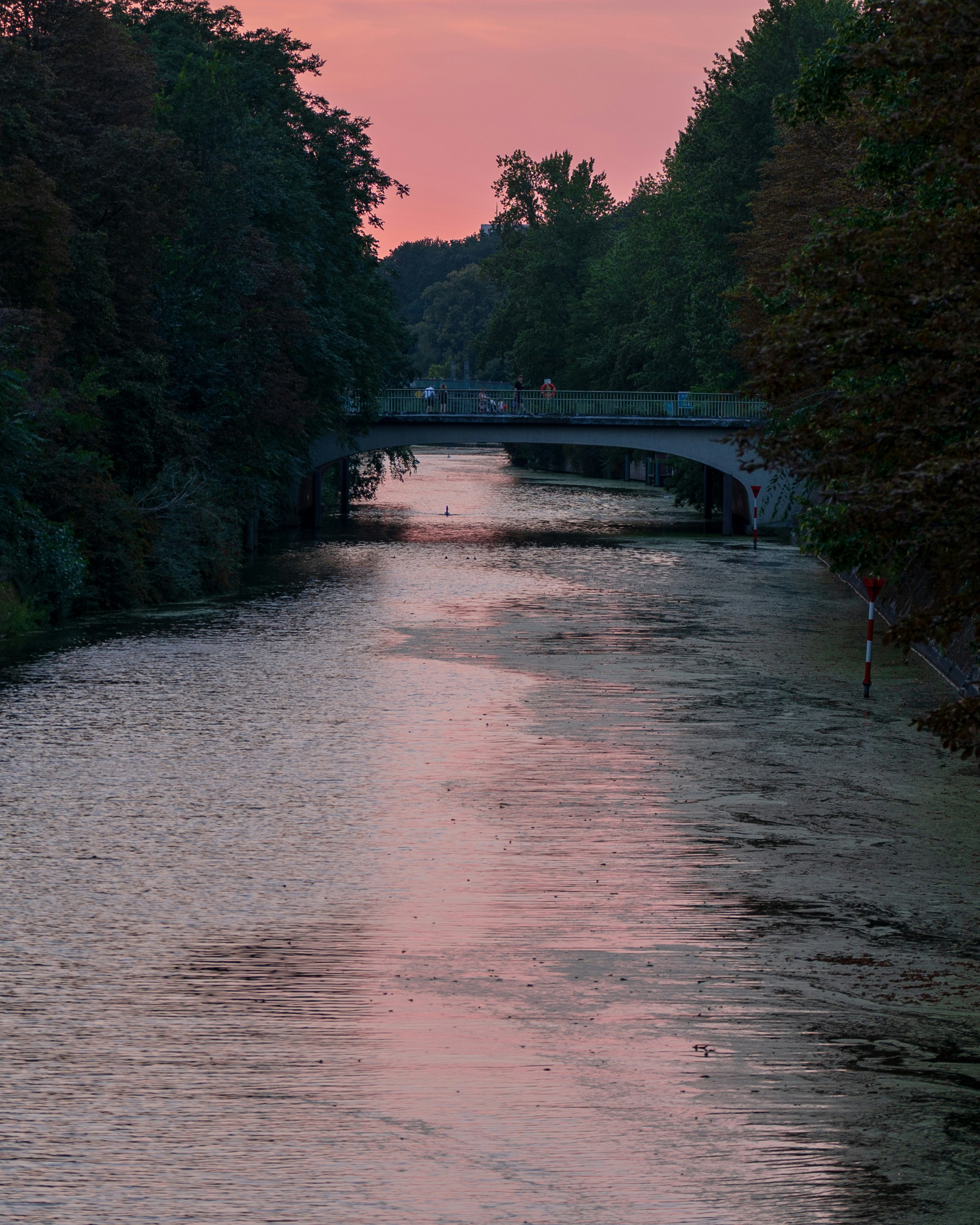 River reflecting pink sunset sky under bridge