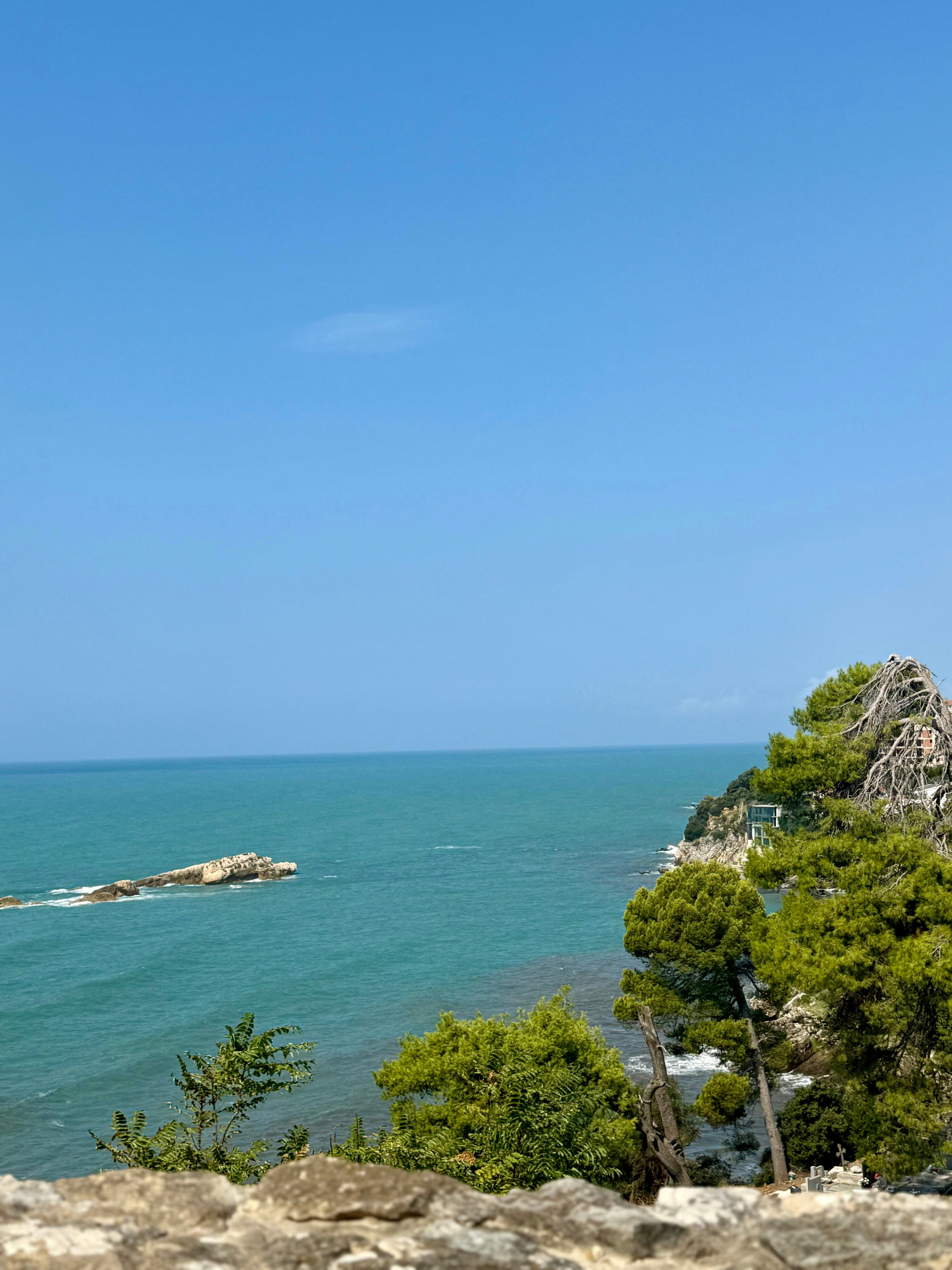Summer 2025 | Green trees on rocky shore overlooking blue ocean