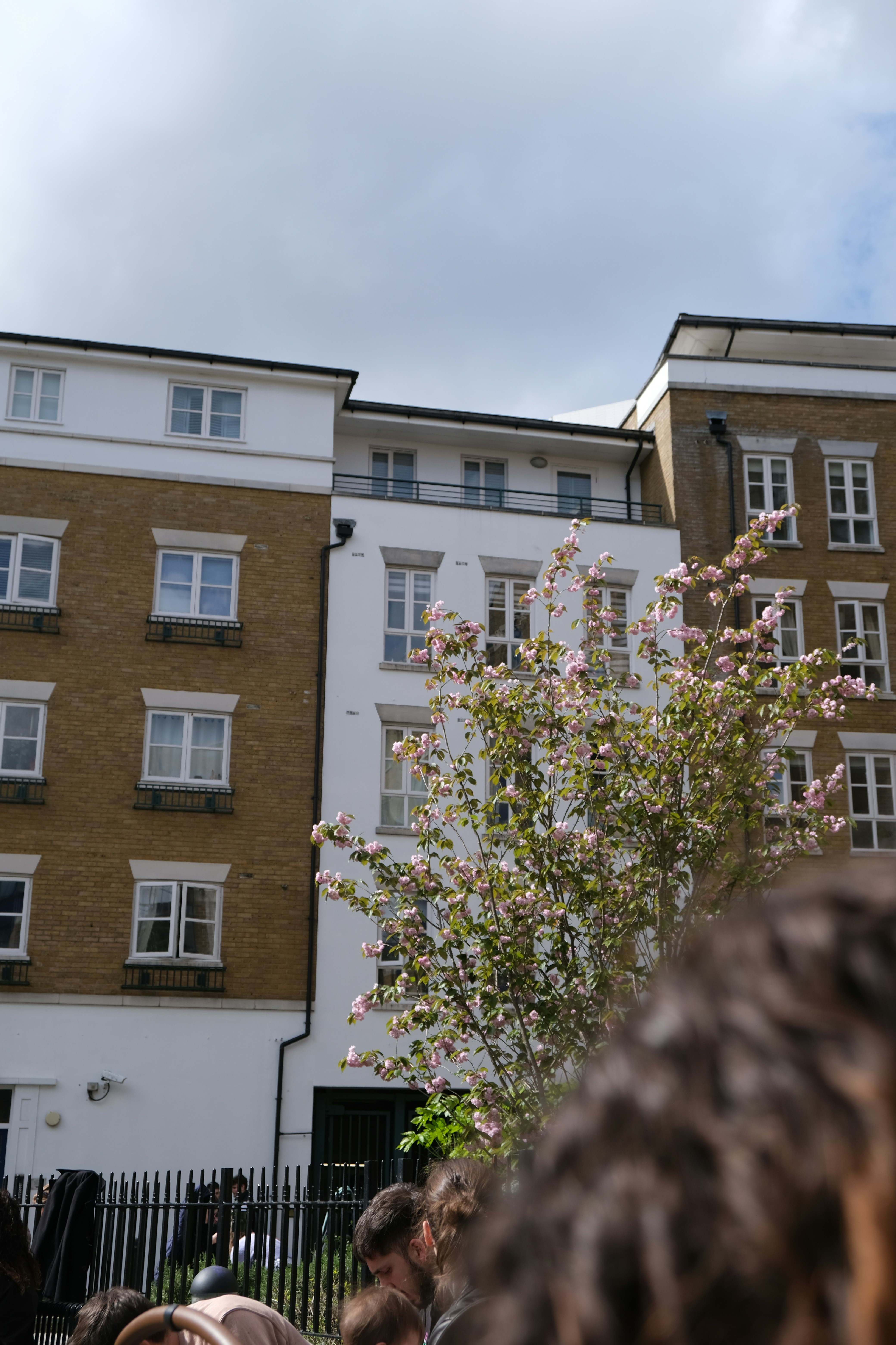 Spring Blossoms Framing a City Block of Brick and White Facades