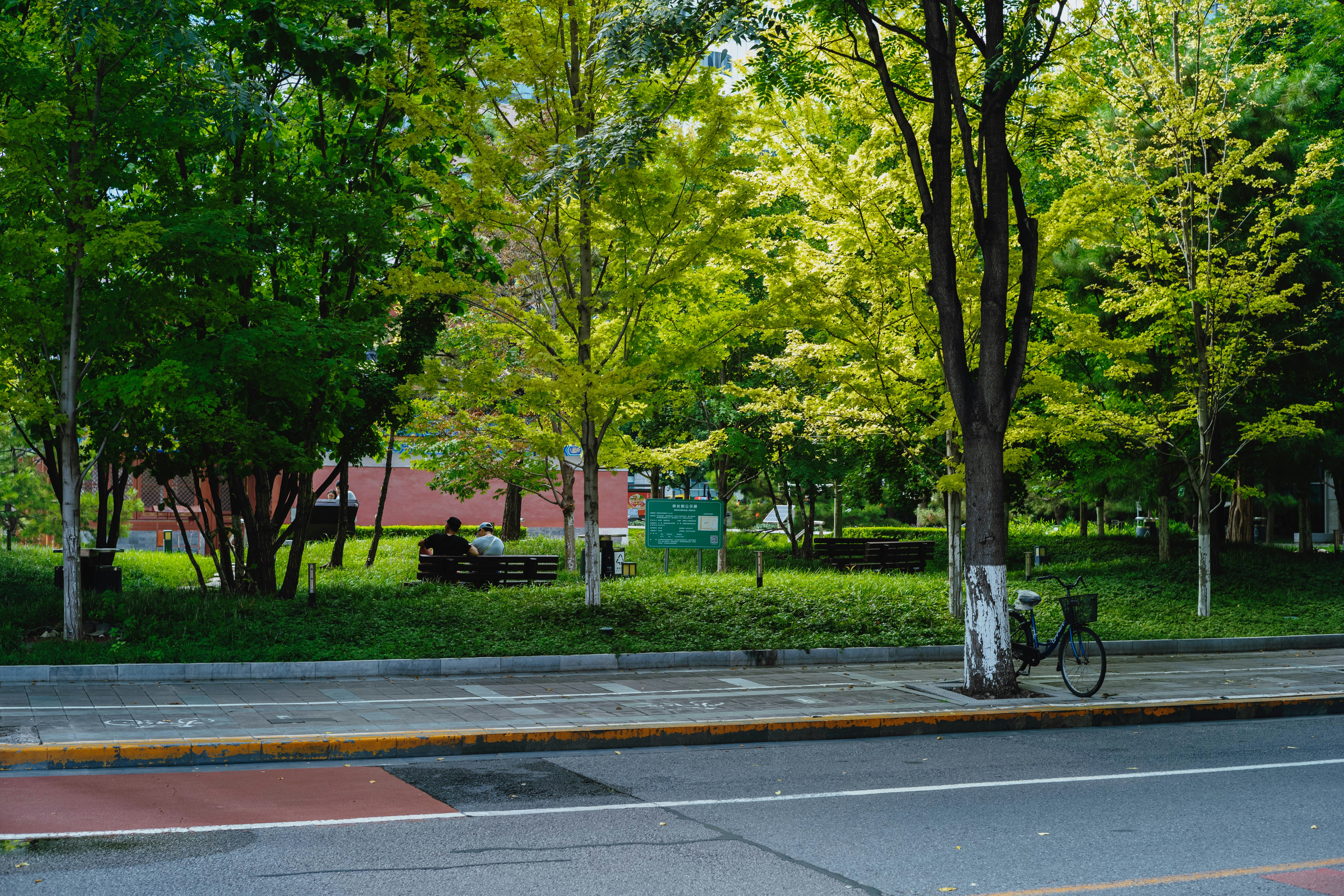 A tranquil park scene with vibrant green trees and benches, inviting passersby to pause and enjoy nature's embrace.