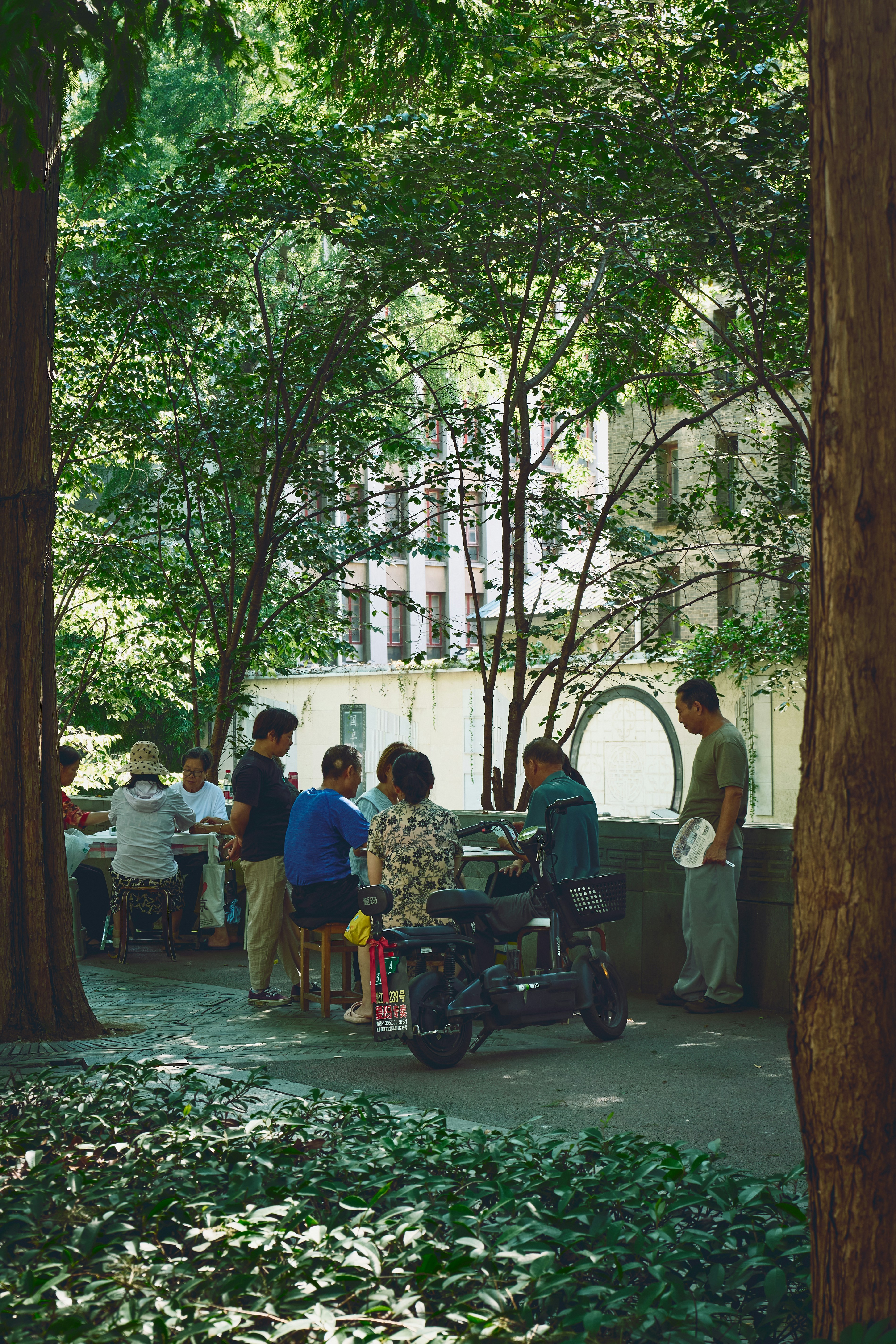 Gathering Under the Canopy: A Community Moment