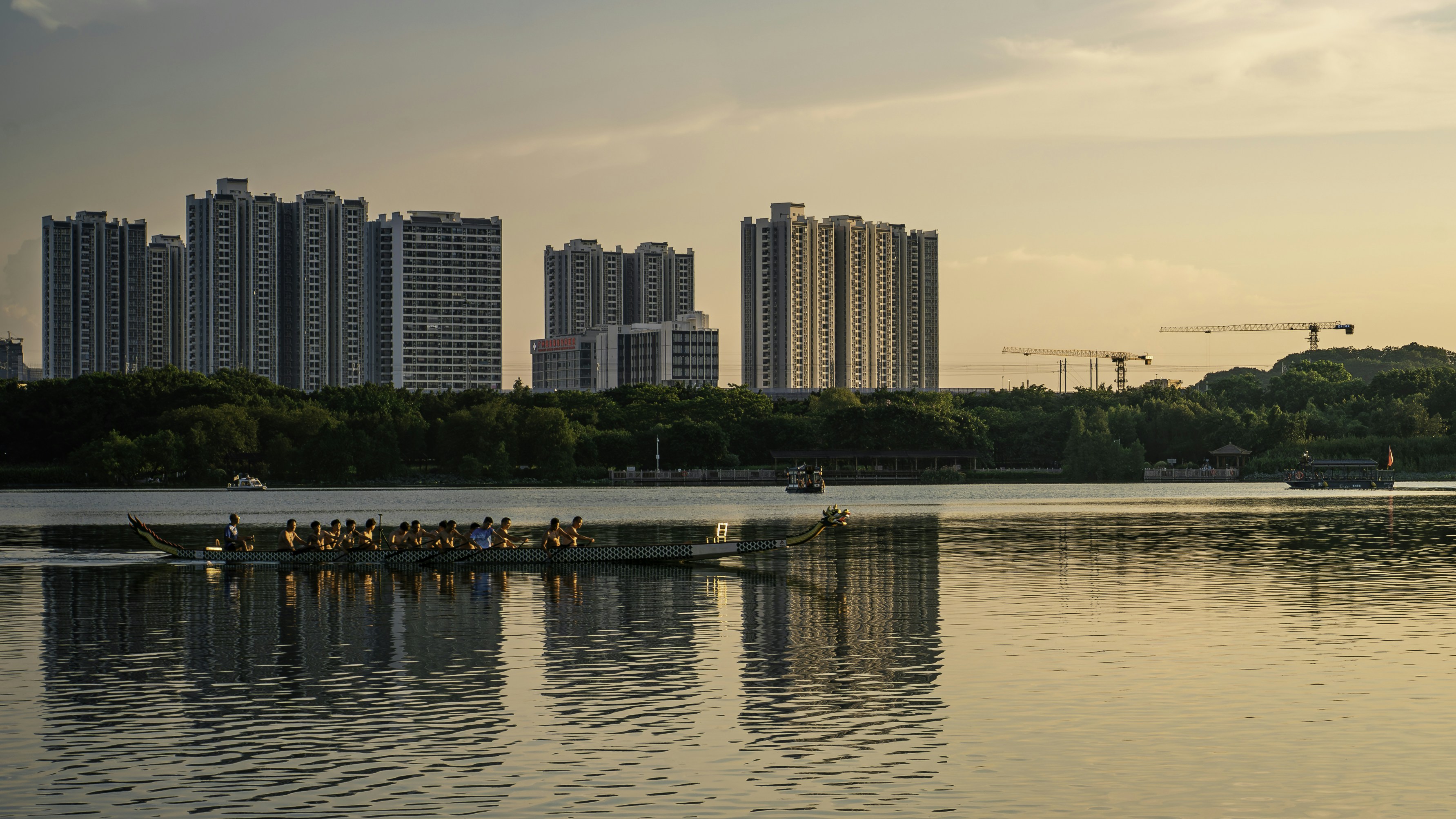 A dragon boat team paddles in unison across a tranquil lake as the golden hour bathes the scene in warm, soft light. In the background, a modern city skyline of towering apartment buildings rises above a lush green treeline, their forms reflected in the rippling water. The image captures a beautiful contrast between ancient tradition and contemporary urban life, showcasing a moment of peaceful recreation against the backdrop of a bustling metropolis at sunset. | Dragon boat race on lake with city skyline at sunset
