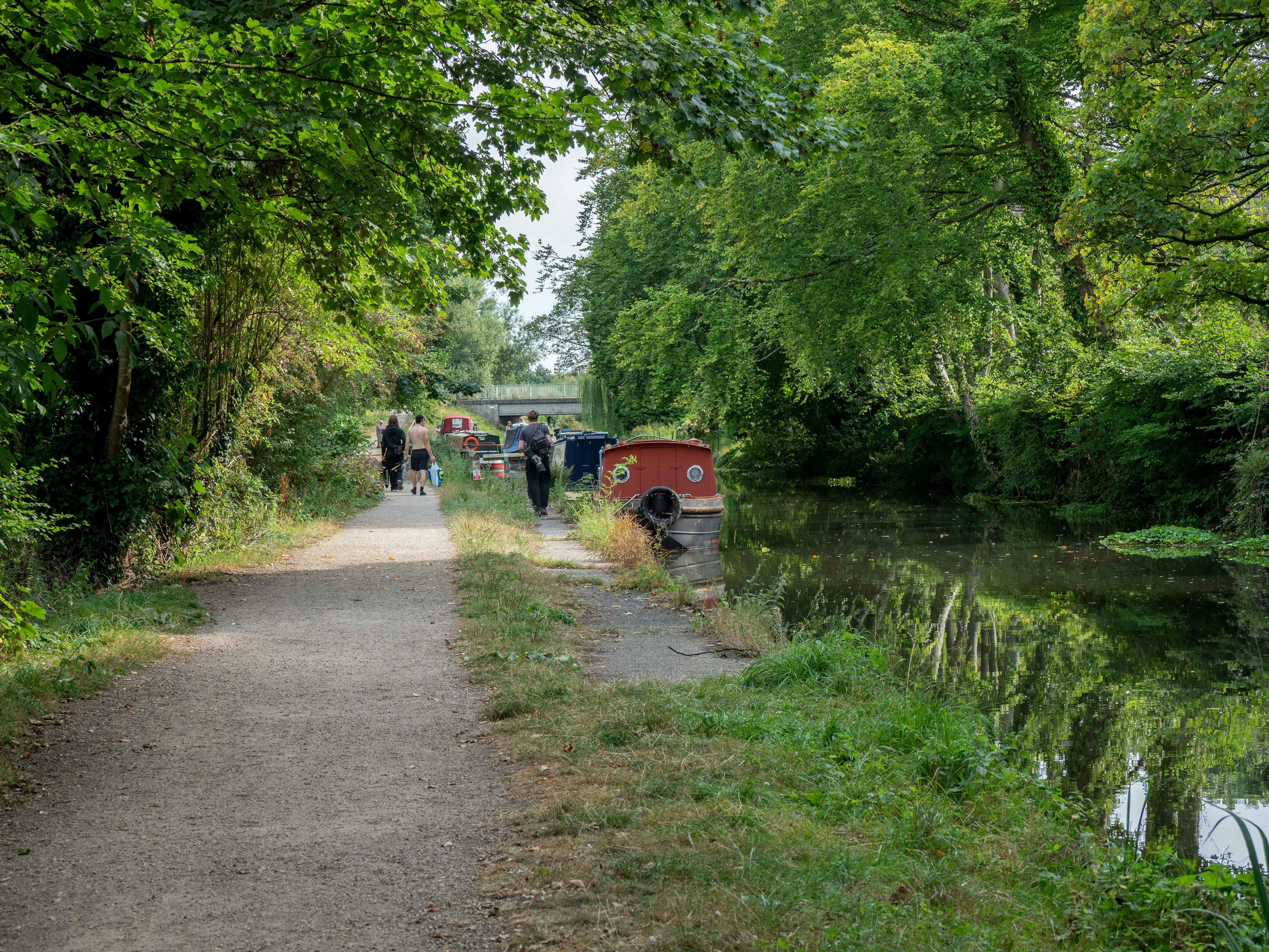 Serenity Along the Waterway